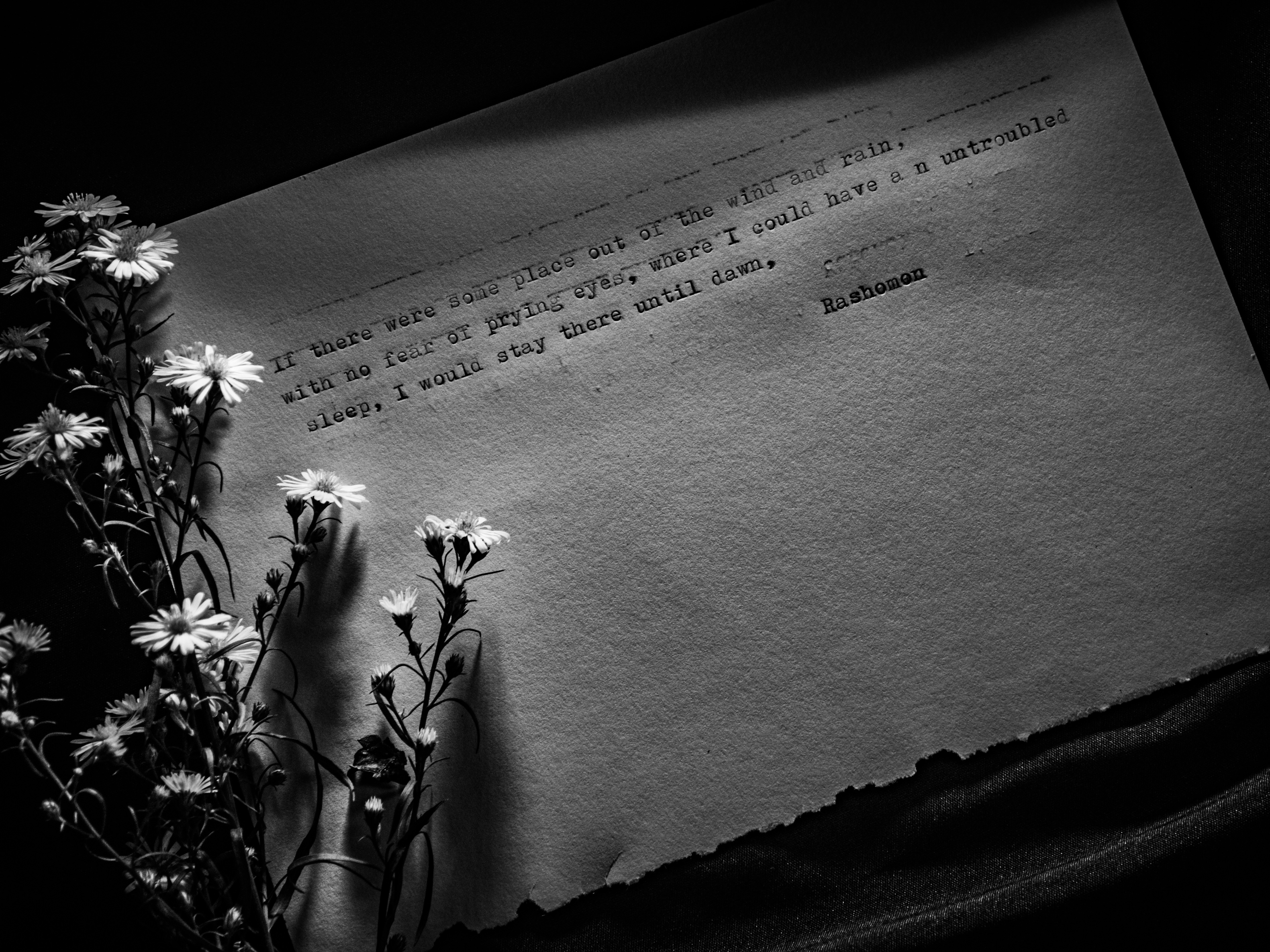 Whispering Wildflowers Beside a Typed Letter
