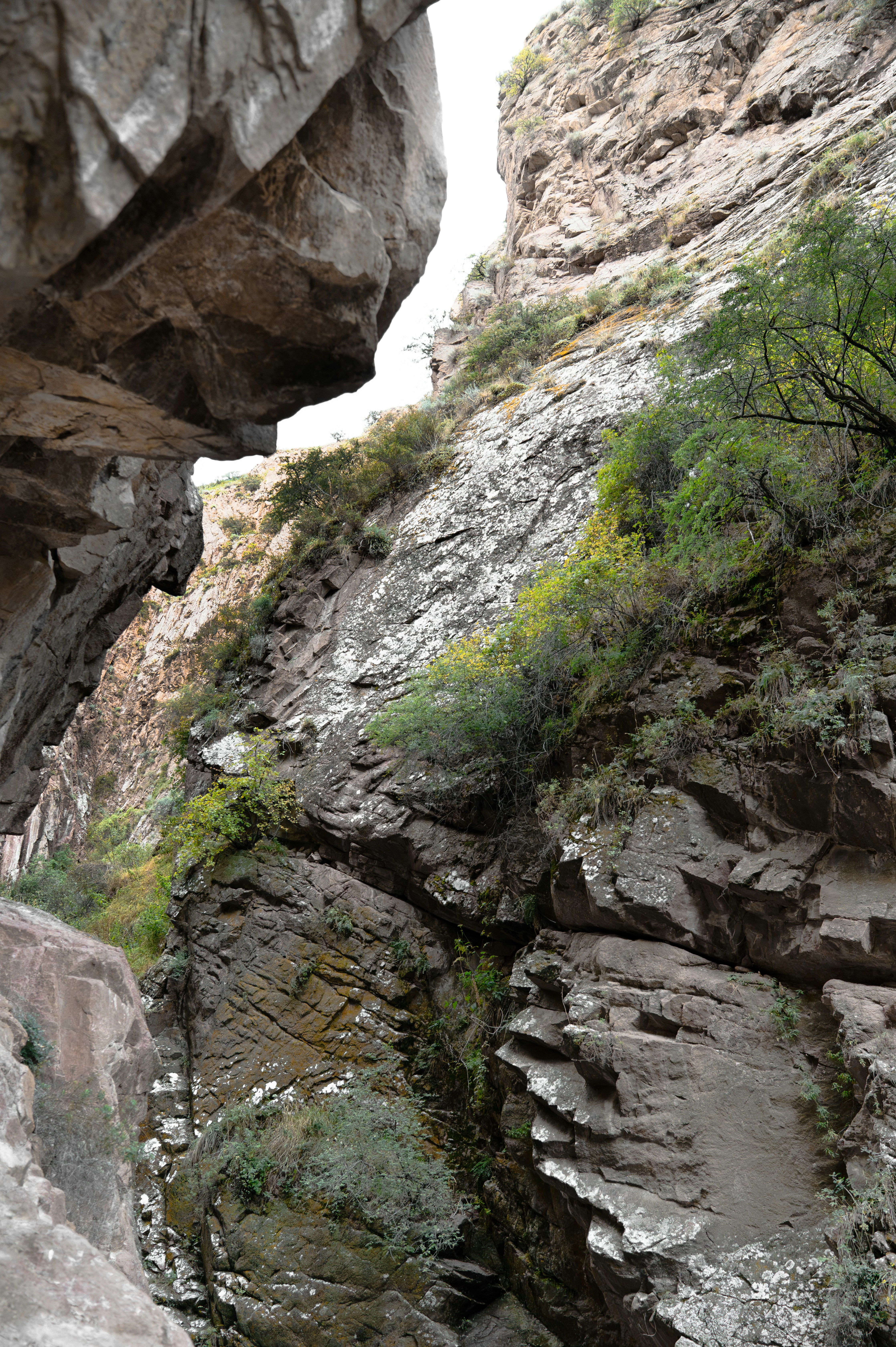 Skyward Canyon: Narrow Gorge Between Weathered Cliffs