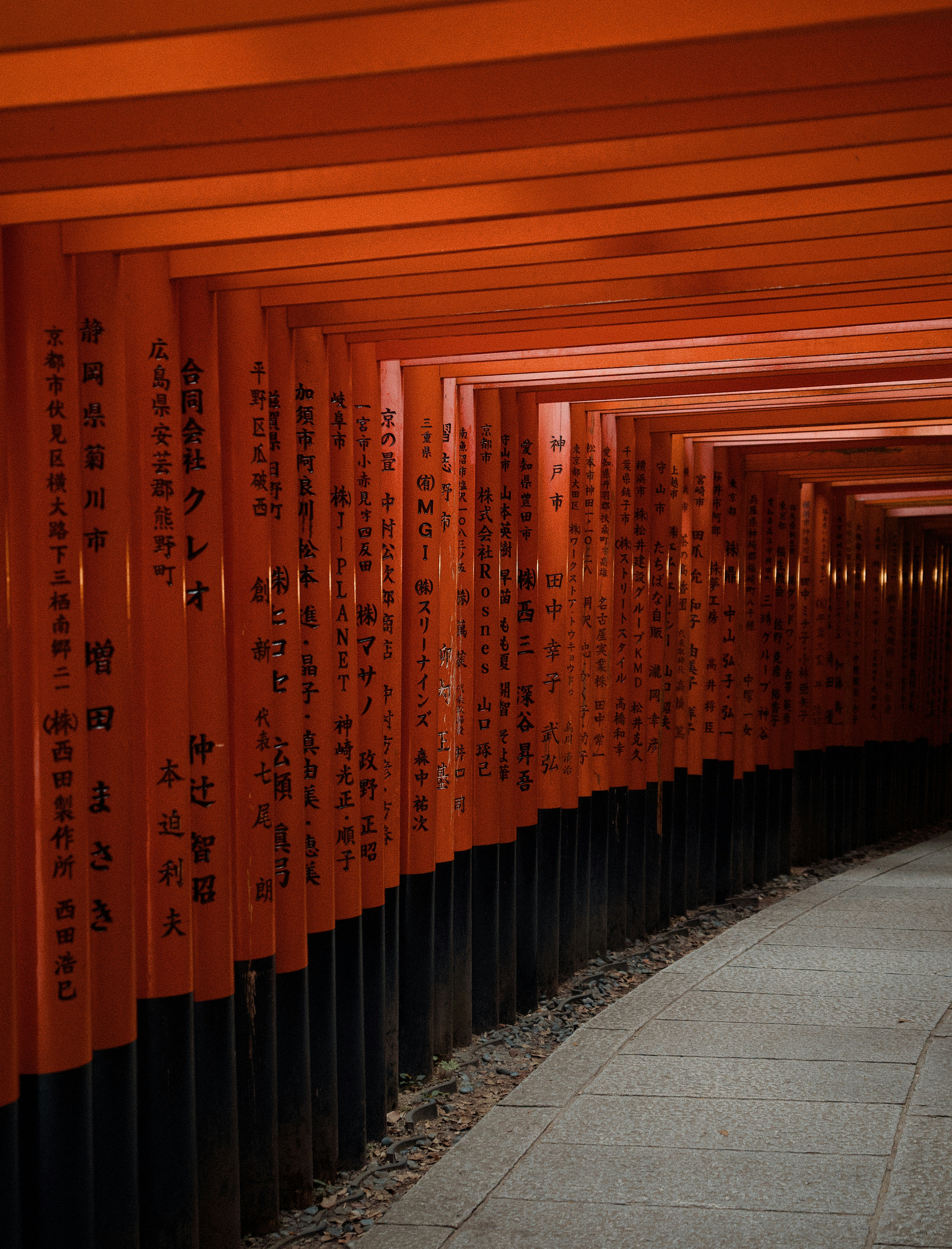 Crimson Corridor: A Path Through the Torii Forest