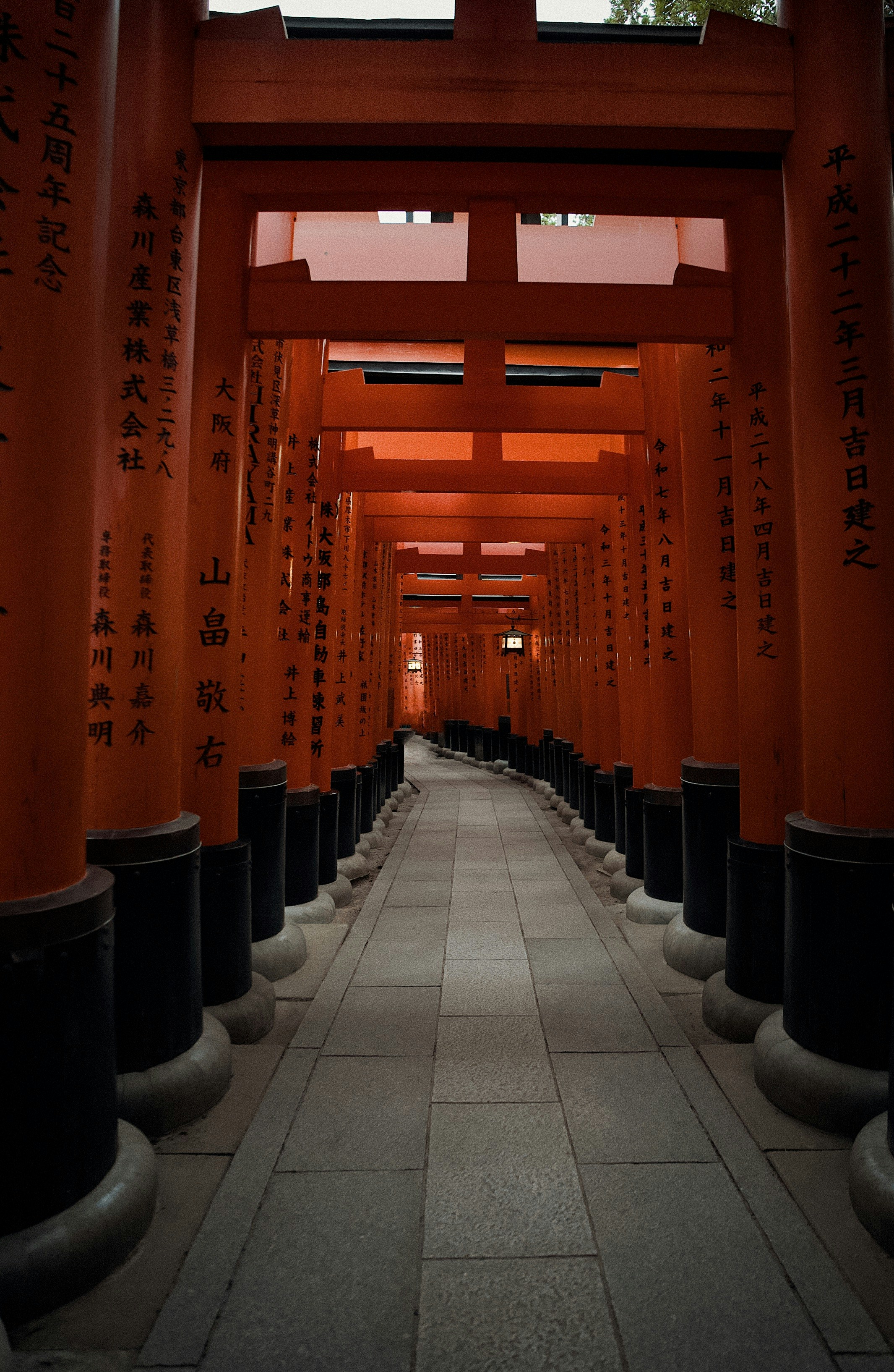 Red Gate Corridor: A Sure-footed Walk Through Thousand Torii