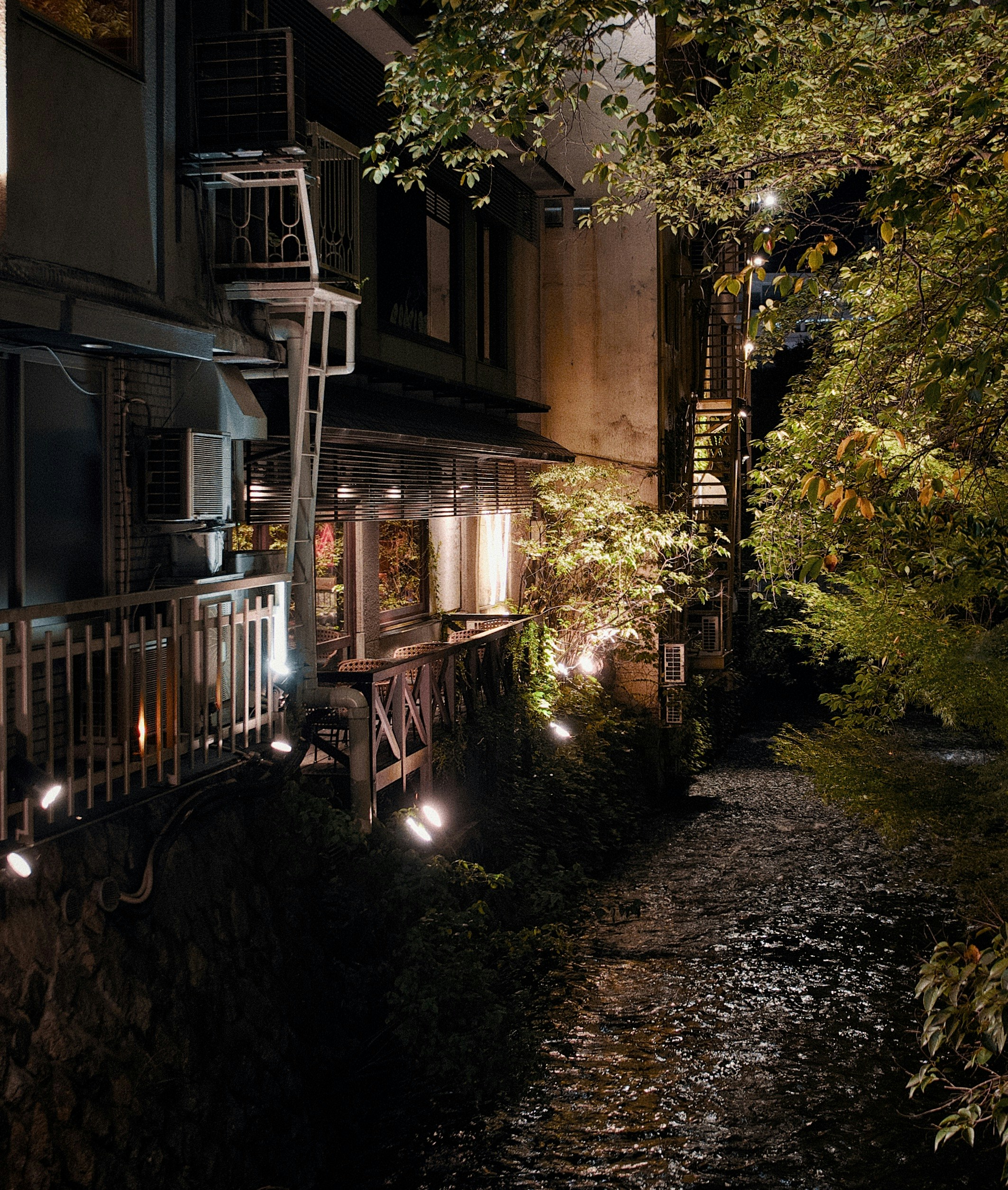 Nighttime canal-side buildings glow with warm lights along a narrow waterway, framed by trees and a wooden walkway. The scene emphasizes moody illumination and reflective water textures.