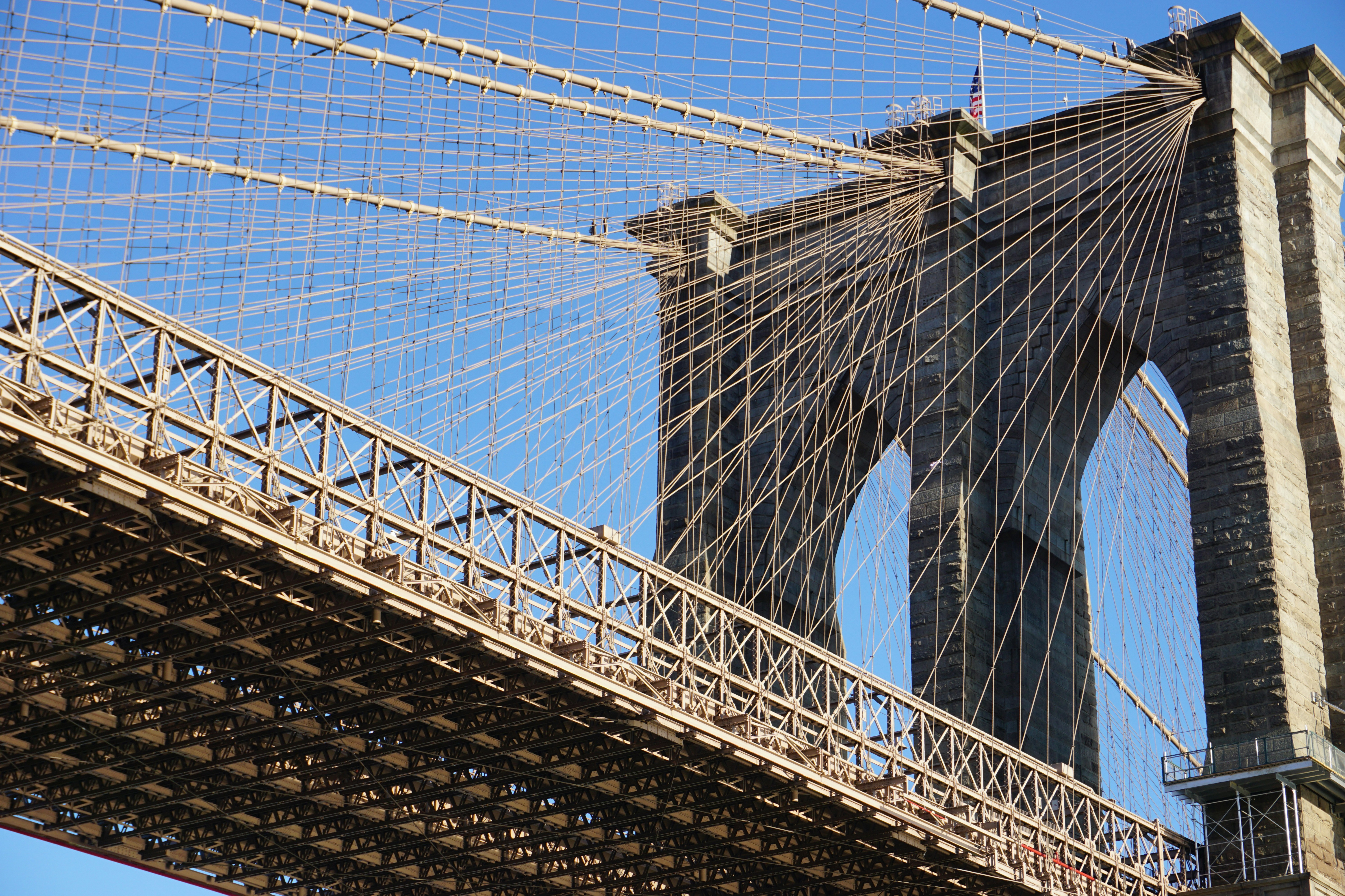 Bridge of Wires: A Cable-Driven Portrait of the Brooklyn Span