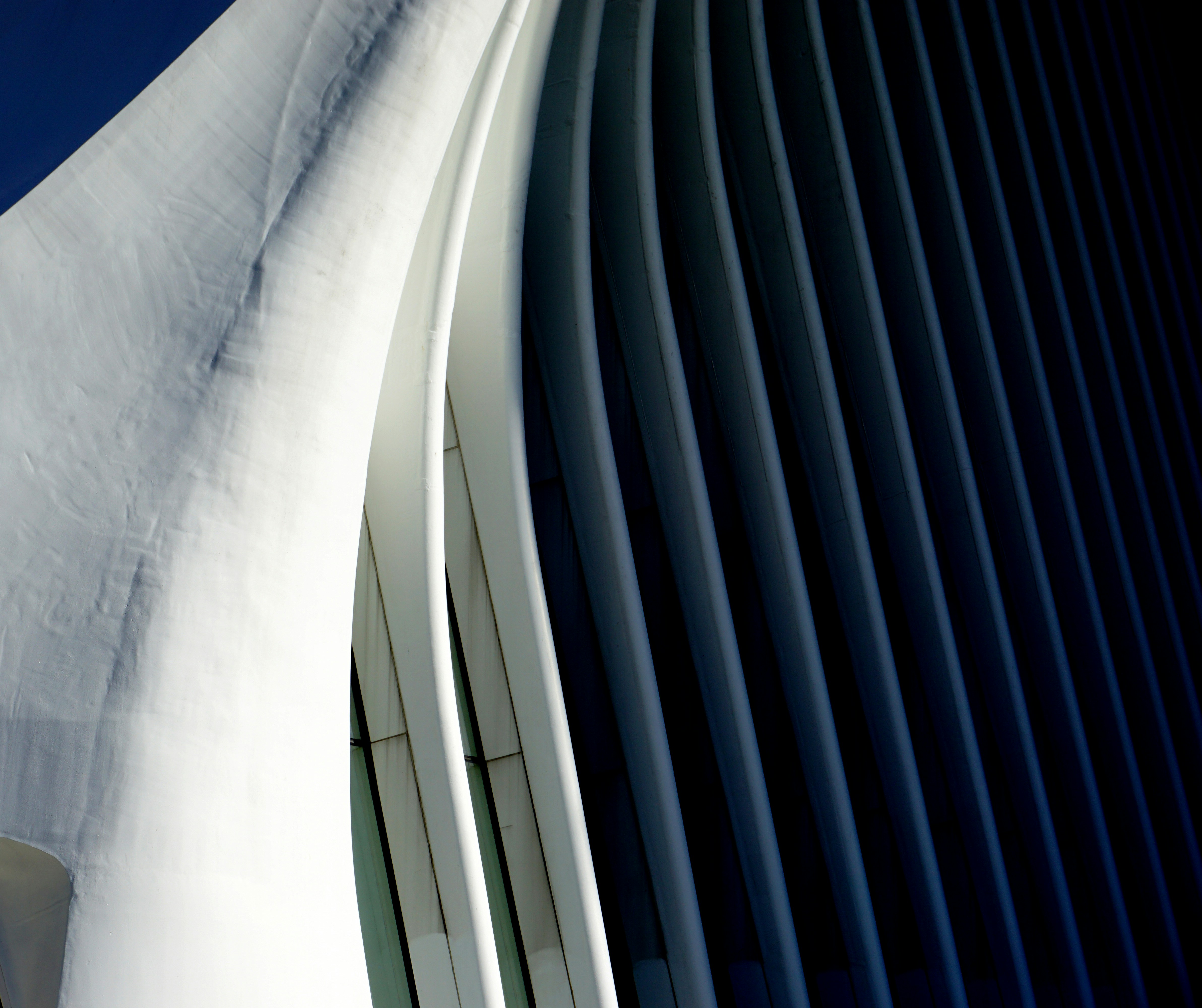 Curved white architectural ribs casting deep shadows against a dark blue sky