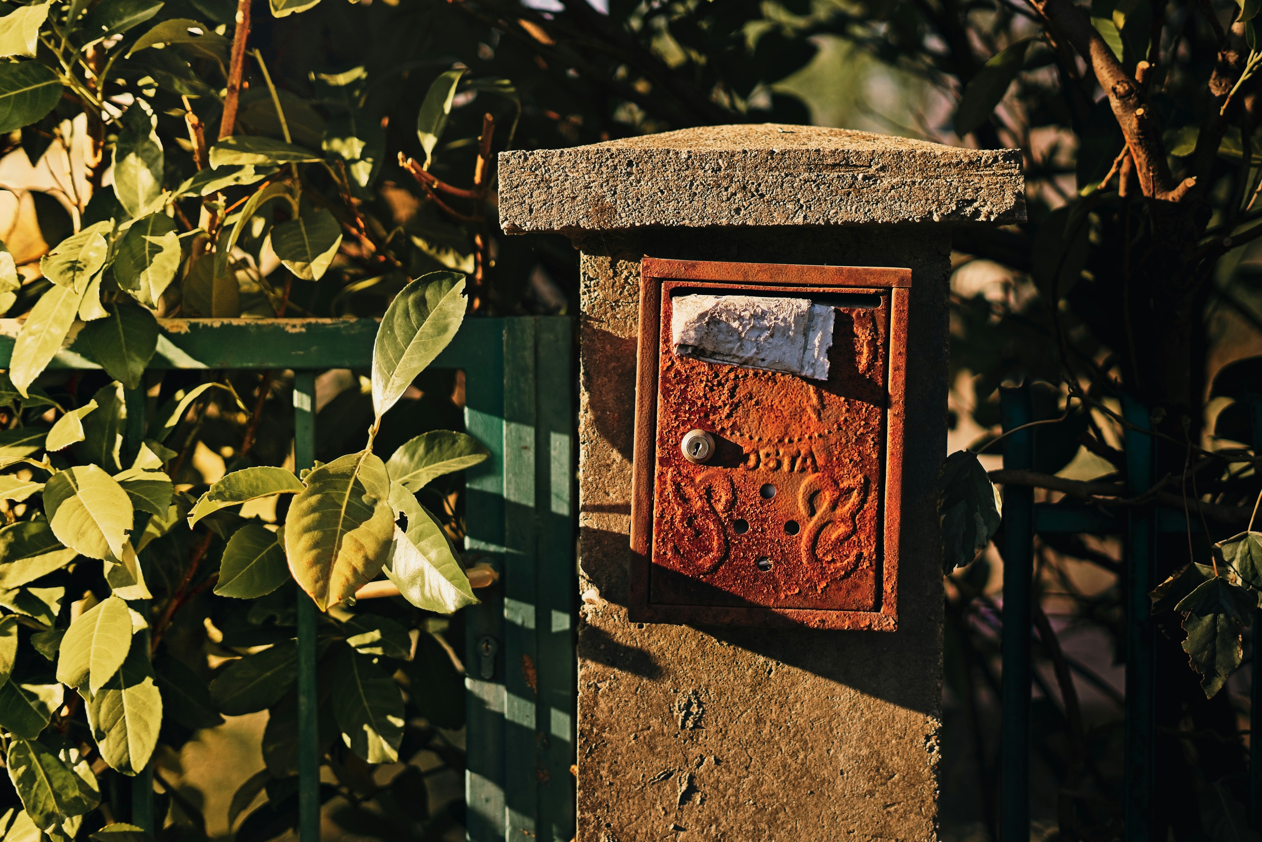 Rusty Parcel Box Nestled Between Sunlit Leaves