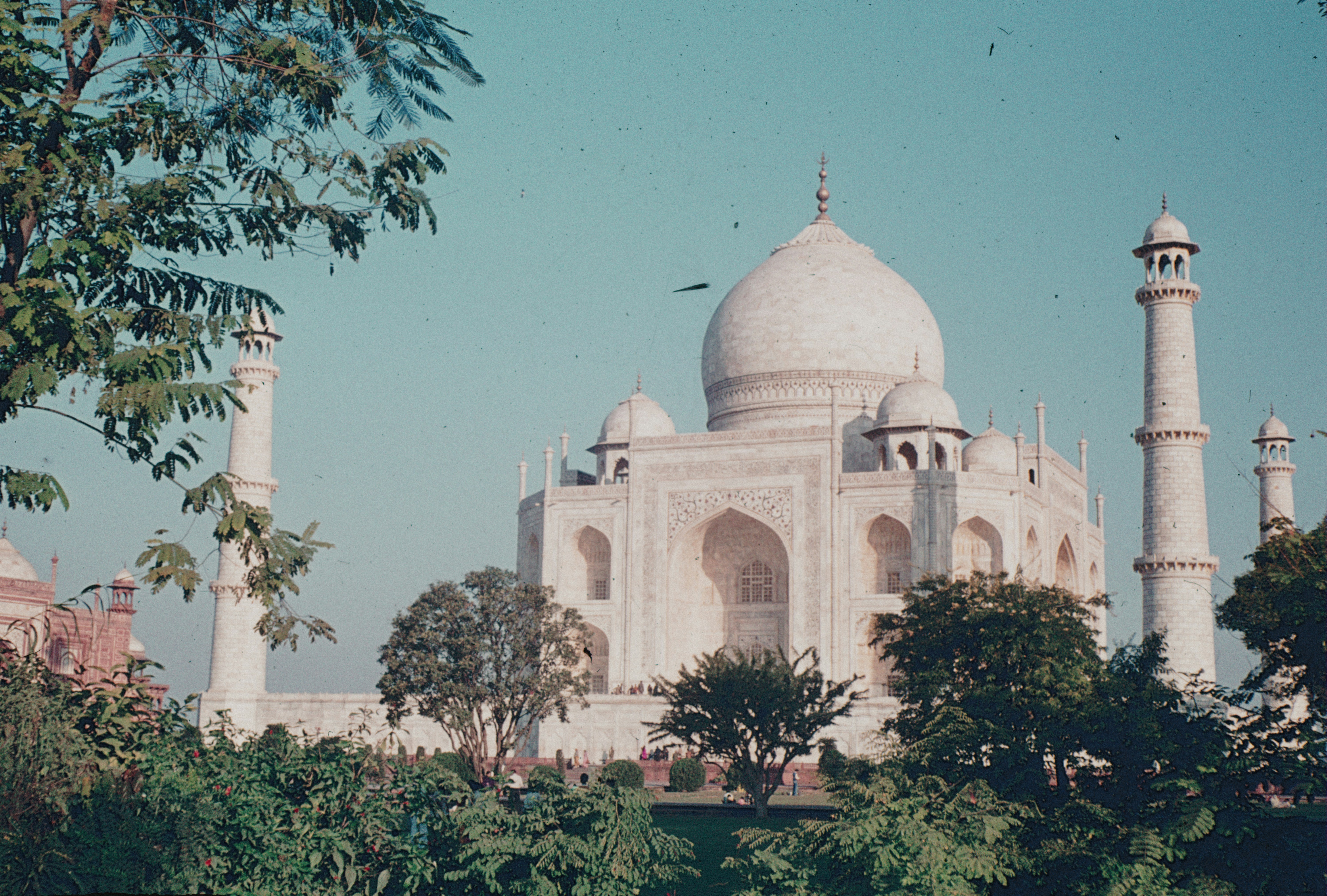 Taj Mahal in Soft Afternoon Light