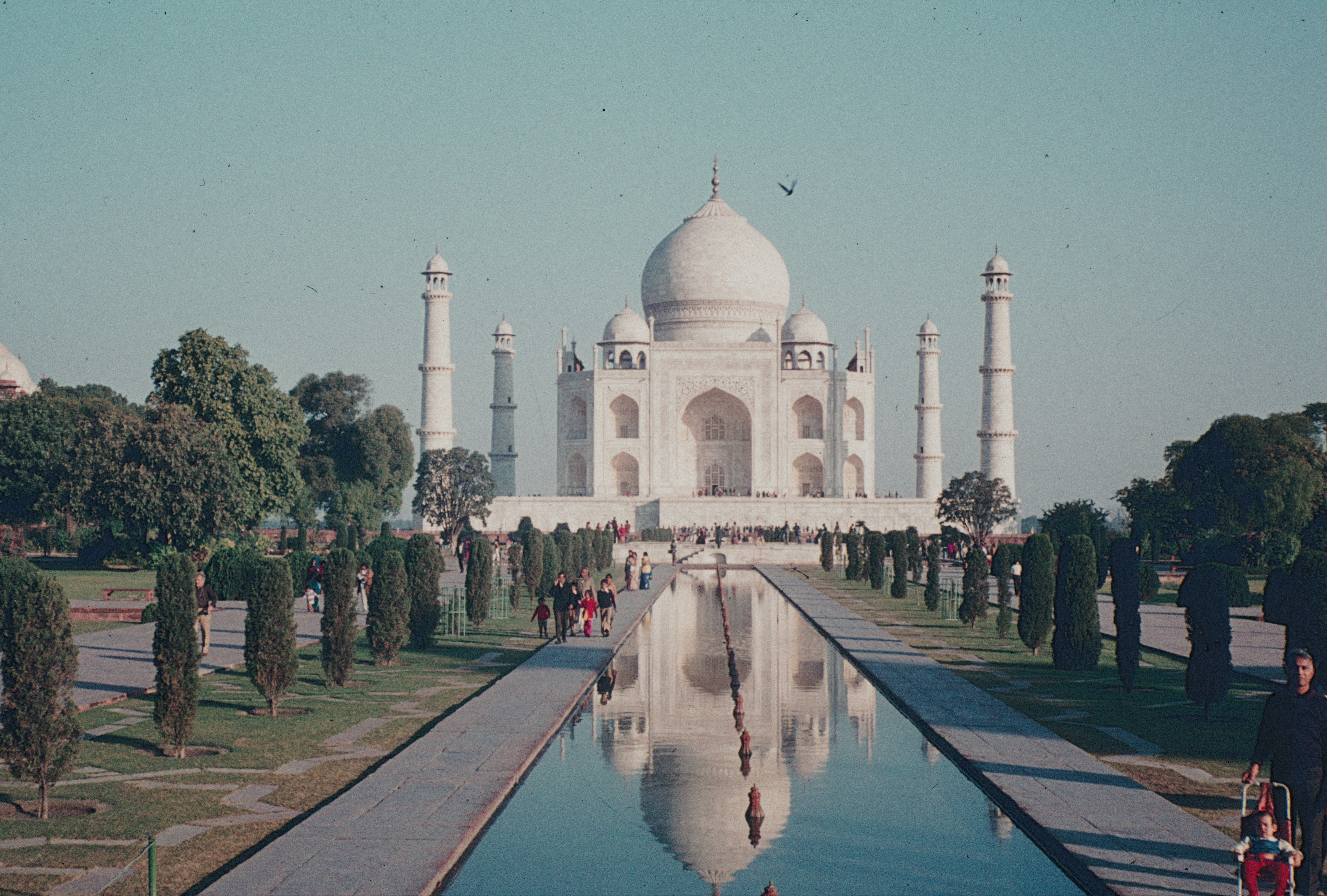 Reflections at Taj: Symmetry and Serenity Across The Long Pool