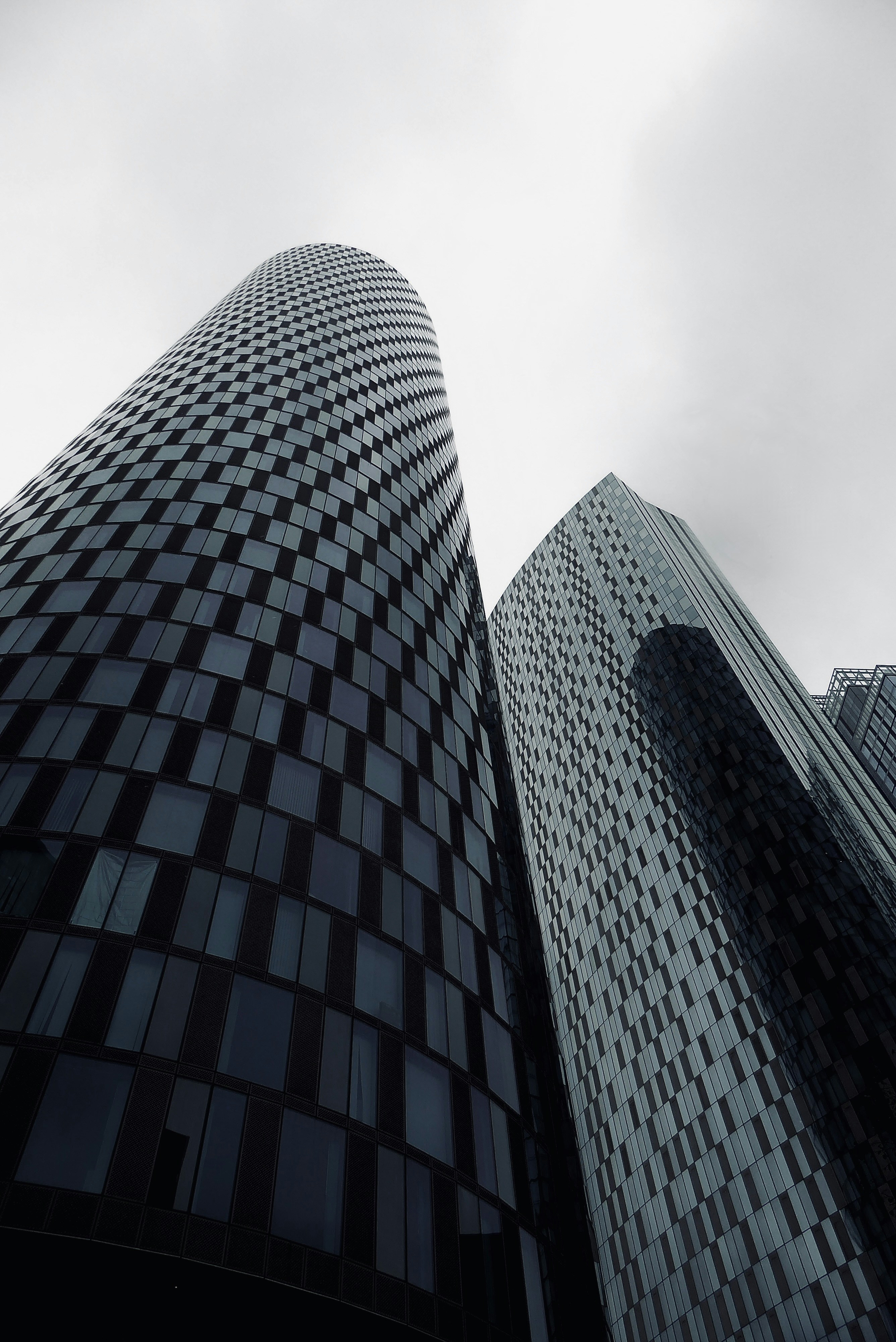 Urban Giants: Curved Glass Facades Reaching Toward a Grey Sky
