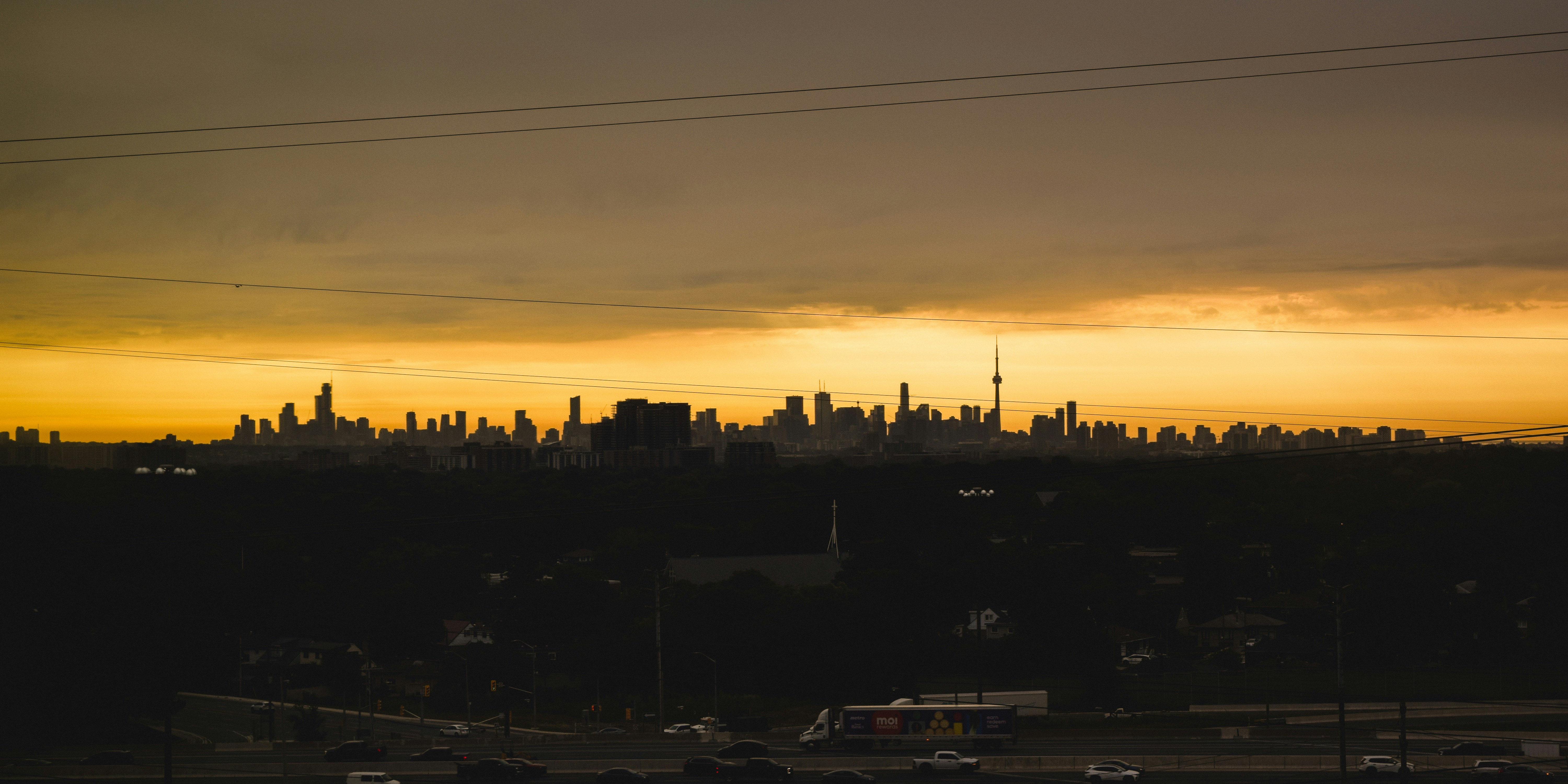 Twilight Skyline: A Quiet Horizon Beyond Silhouetted Trees