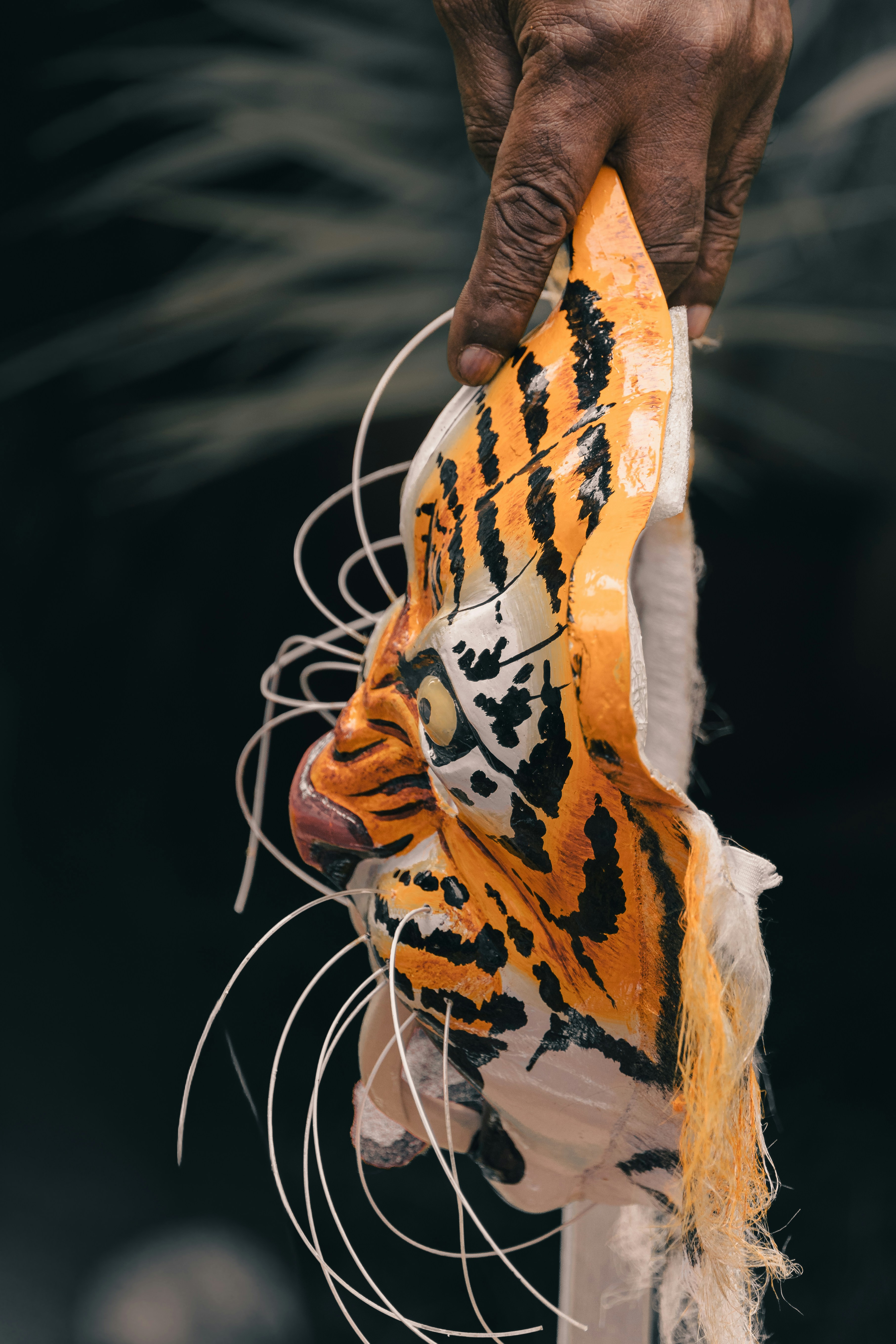 Tiger-stripe sneaker held aloft by weathered fingers
