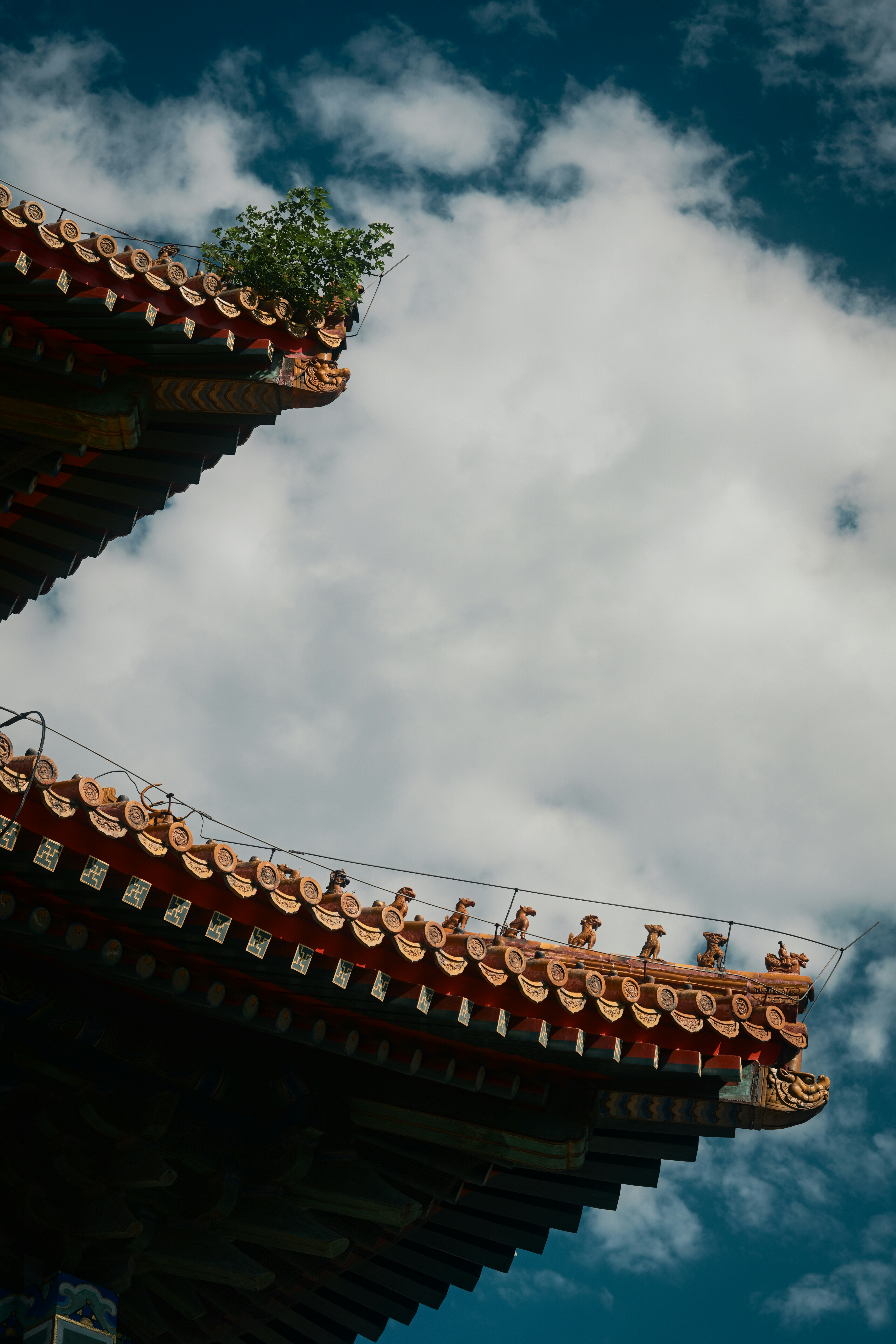 Corner Temple: A Rooftop Crest Touching the Sky
