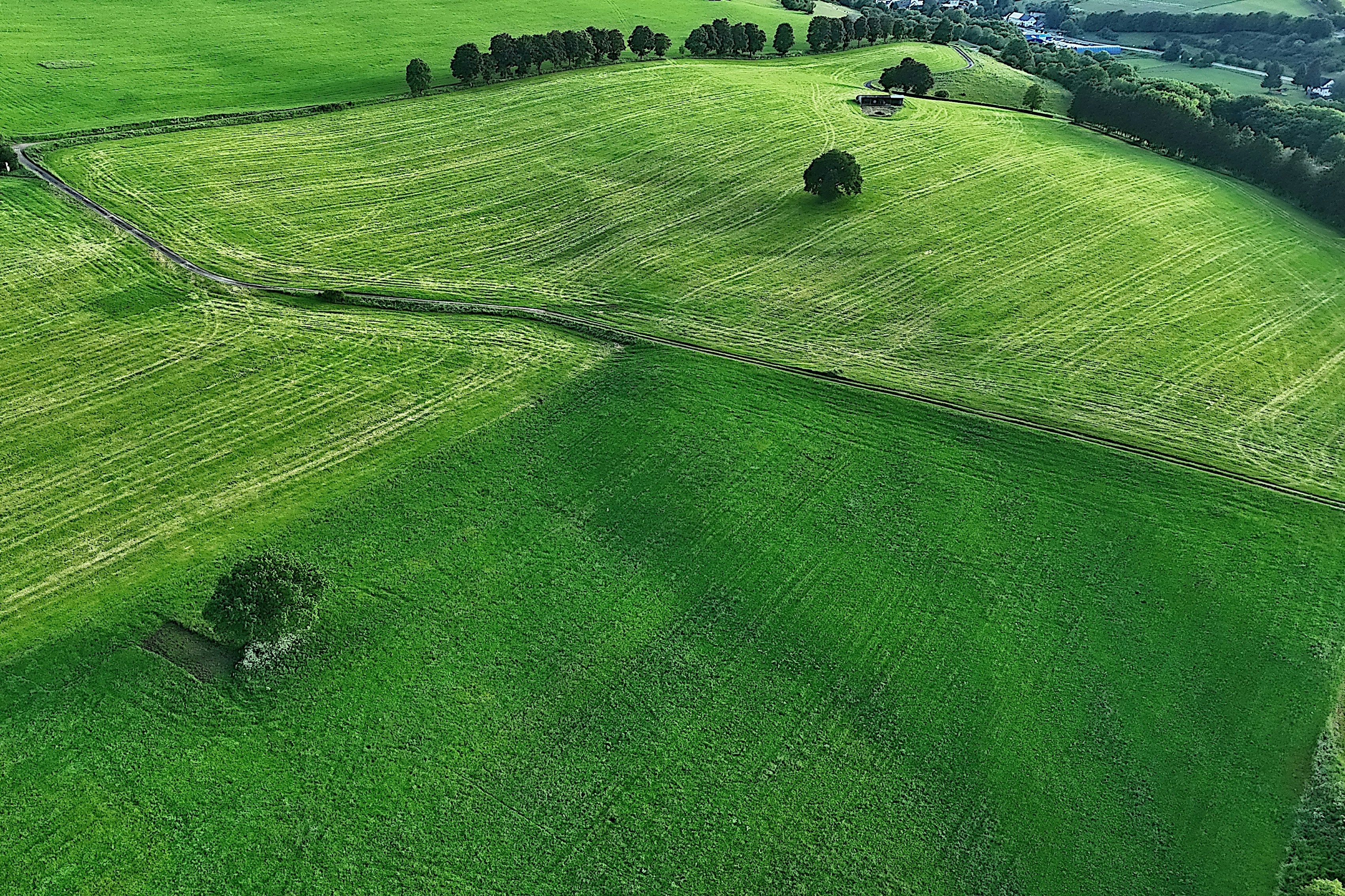 Patchwork of Green: A Drone View Over Rolling Pastures