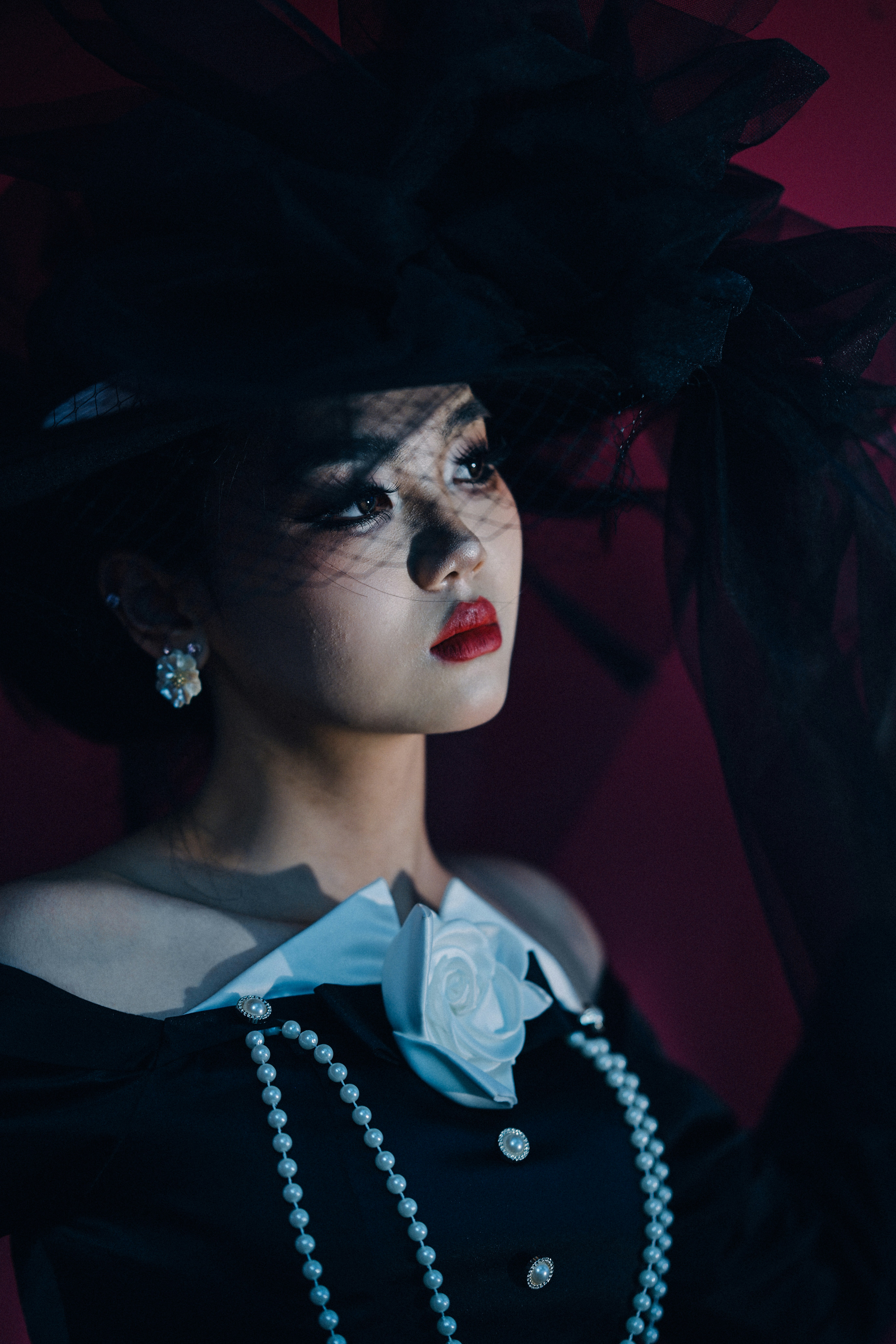 Veiled Velvet Muse: A Portrait in Shadow and Silk
