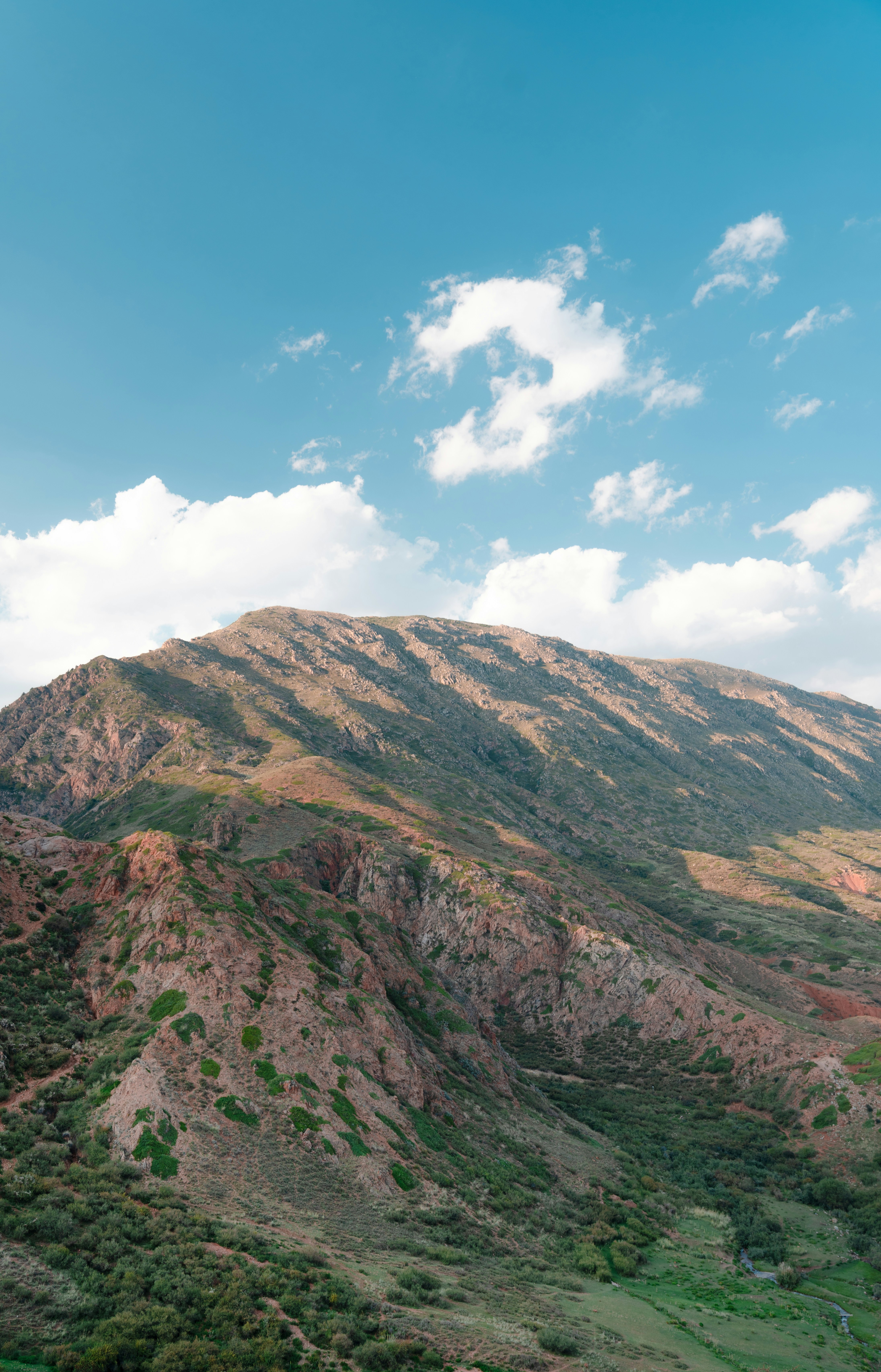 Sunlit Ridge: A Quiet Sweep Across Colored Hills