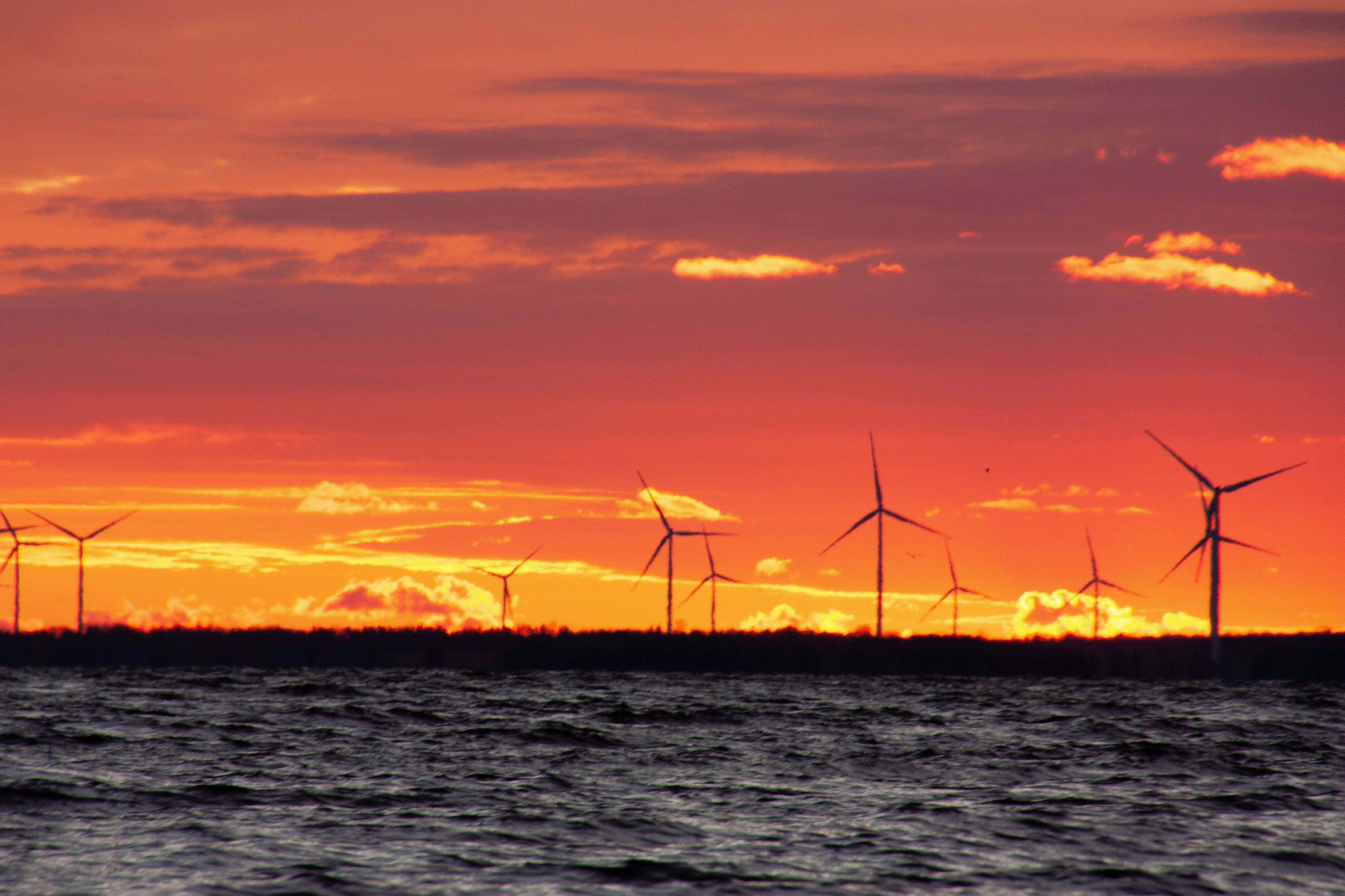 Flame Horizon Over a Wind-Swept Sea