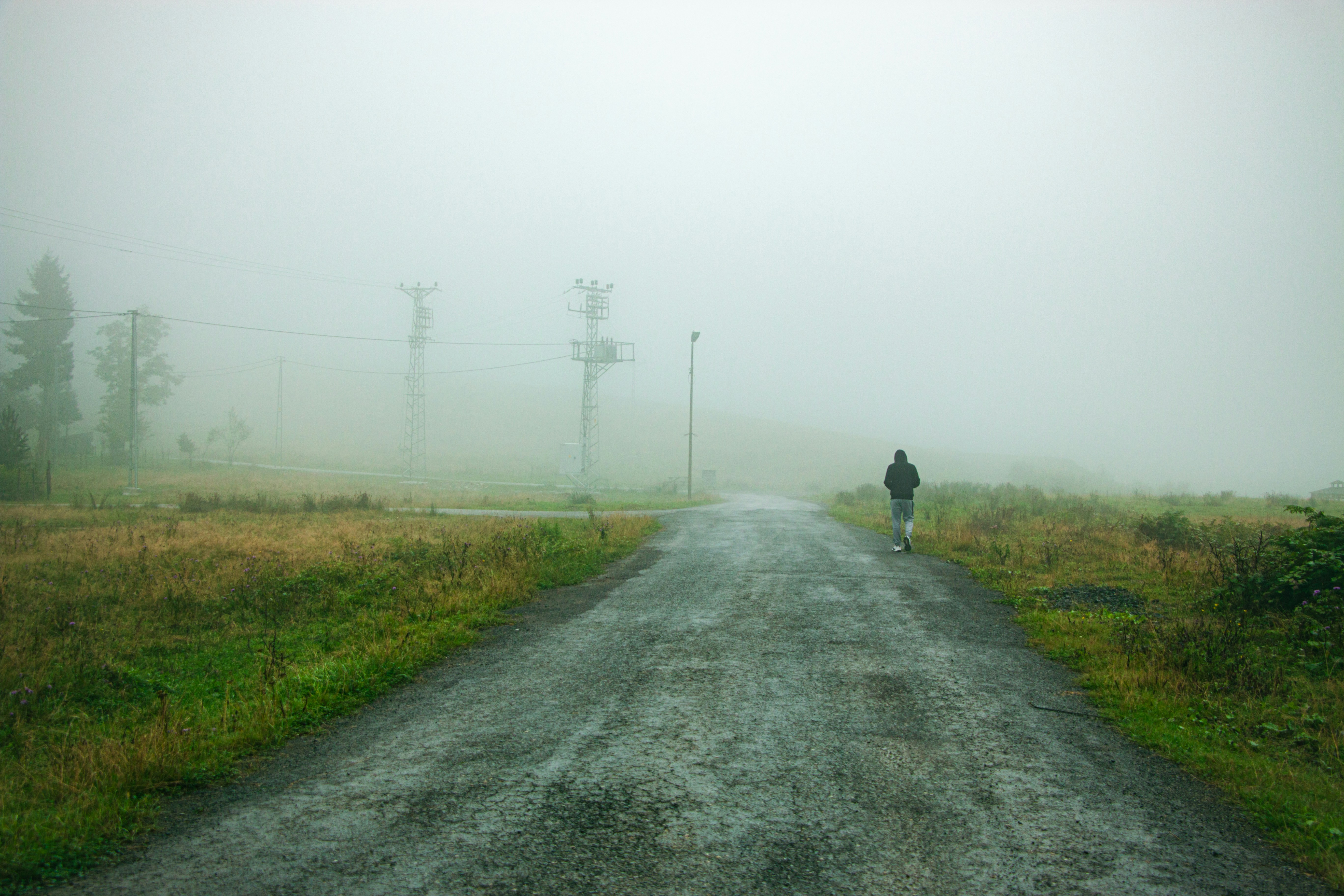 Runner in the Mist: A Lone Path Through Quiet Fog