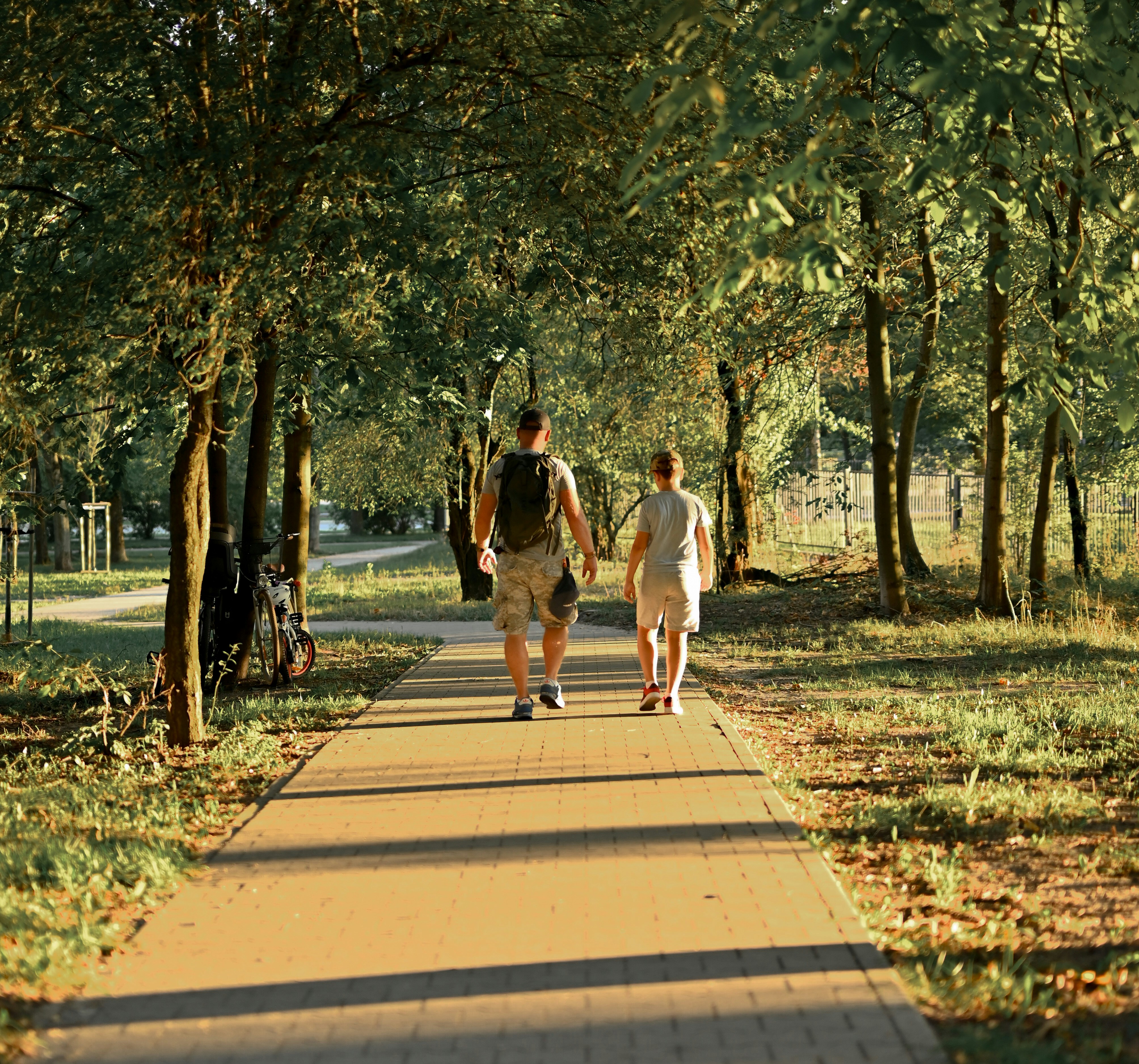 Sunlit Stroll: A Pair Walks Calmly Along a Tree-Lined Path