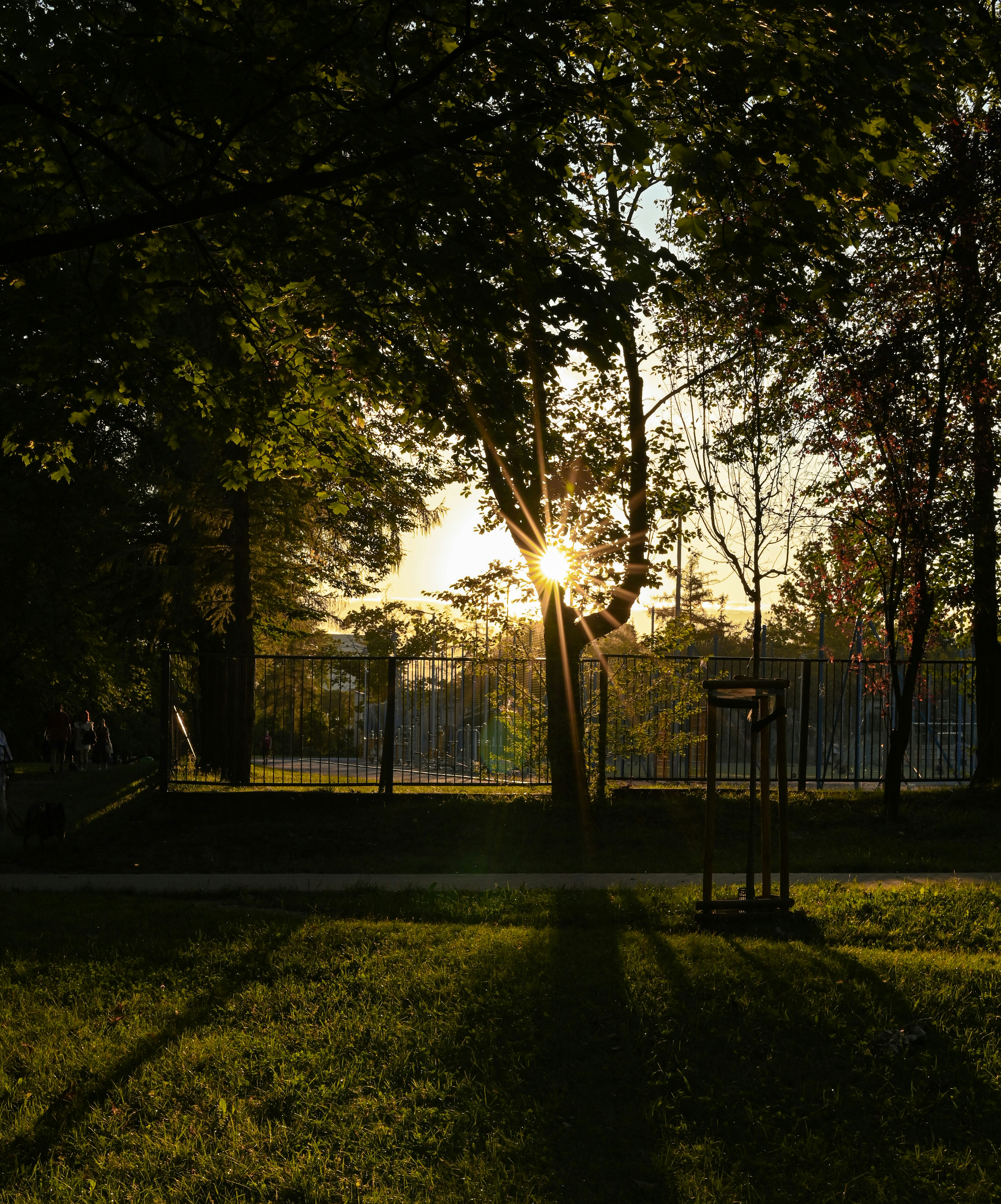 Sunlit Hoop: A Park Silhouette at Golden Hour