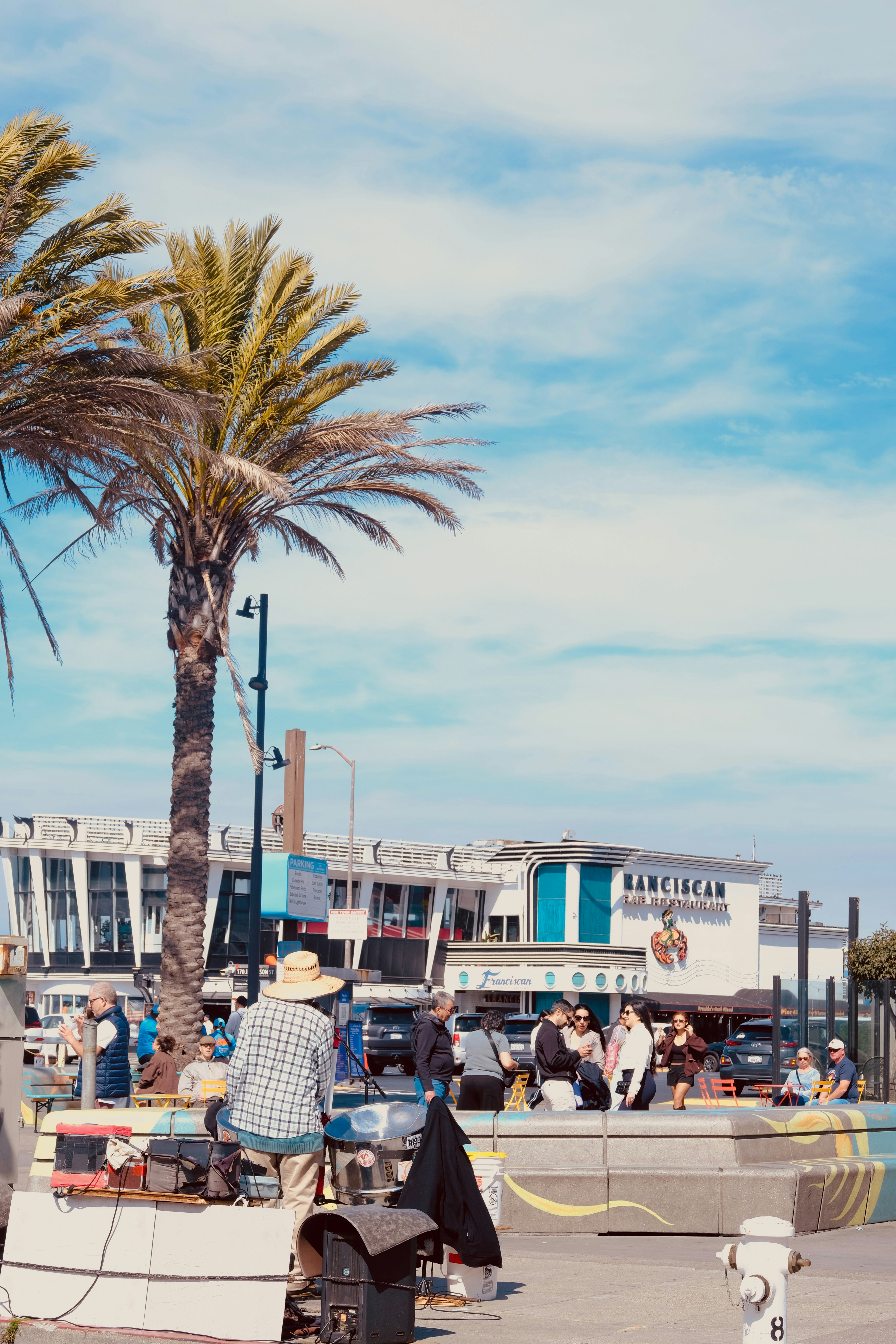 Palm Shade by the Waterfront: People, Palms, and a Modern Pier