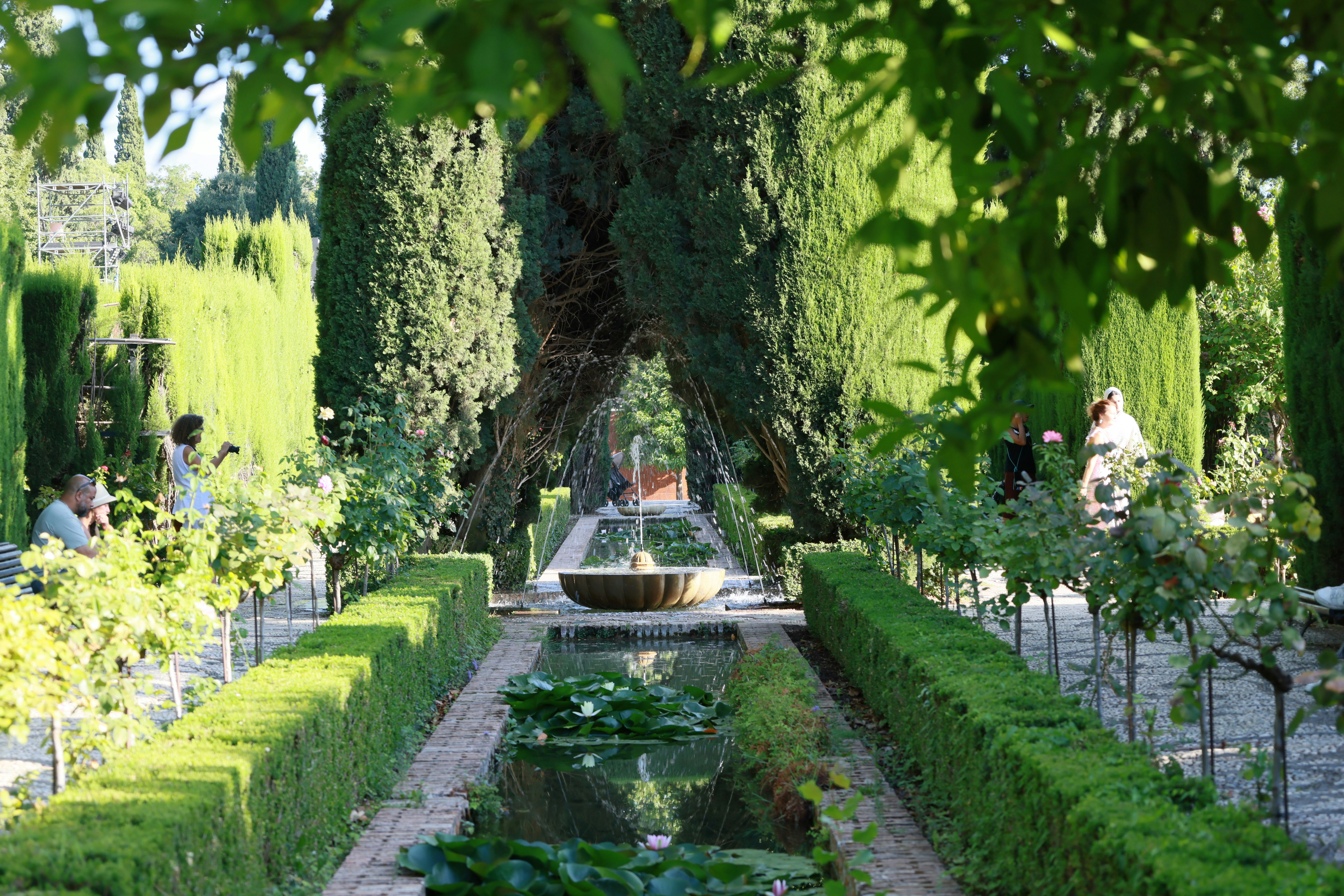 Symmetric Waterway Pathway Framed by Pruned Hedges and Fountains