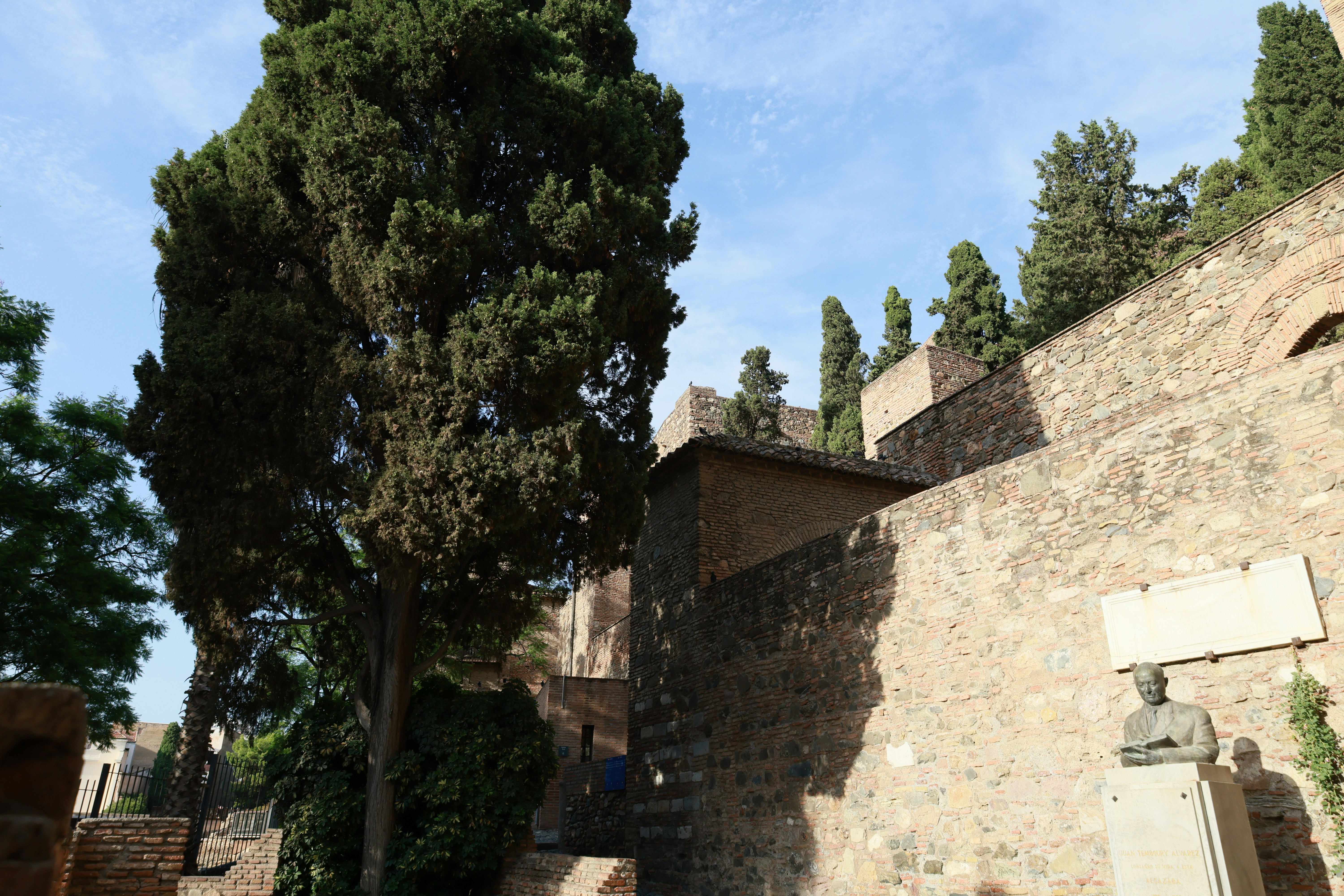 Stone Courtyard Portrait: Sunlit Wall, Statue, and Ancient Trees