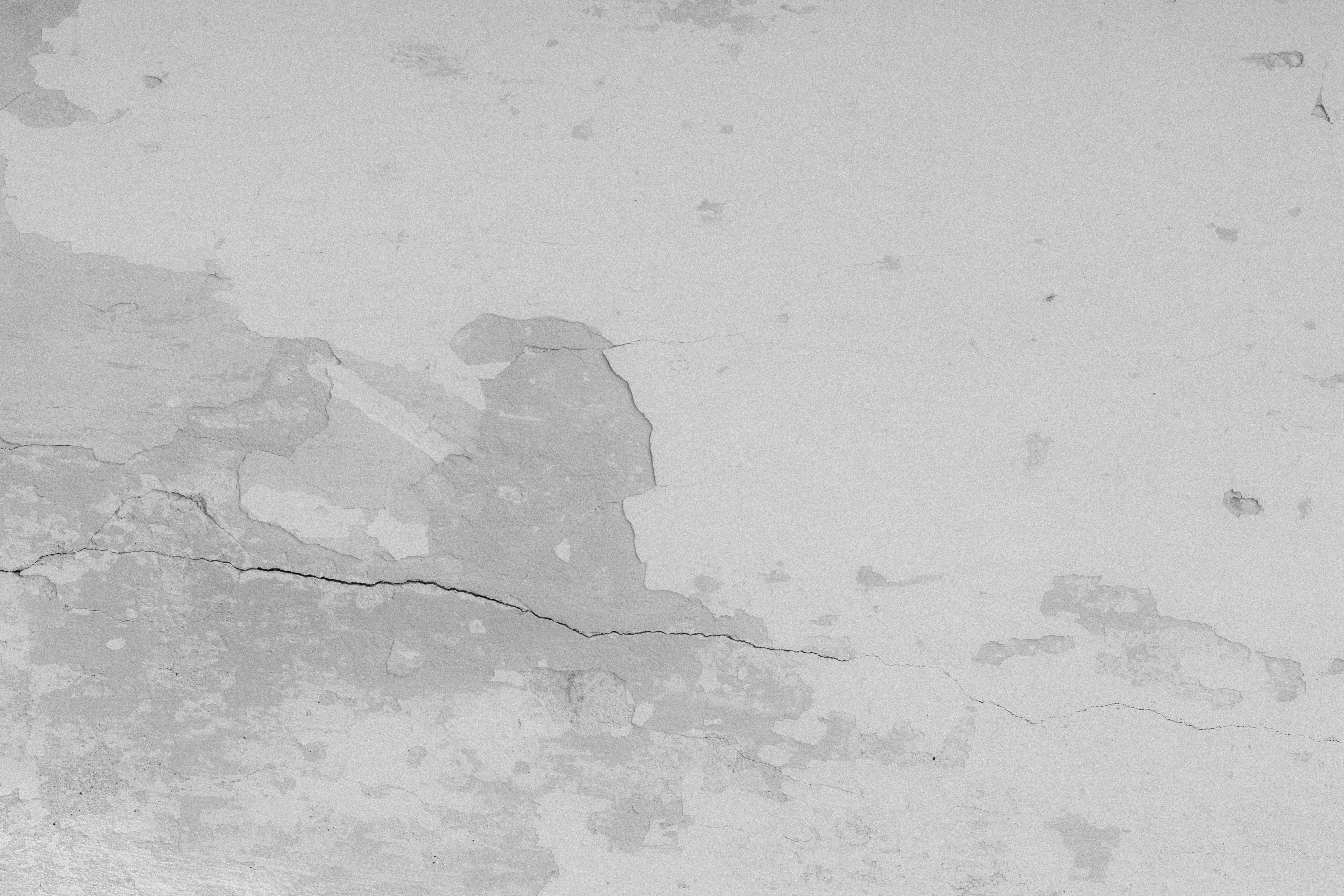 Cracked Concrete Echoes of a Quiet Wall