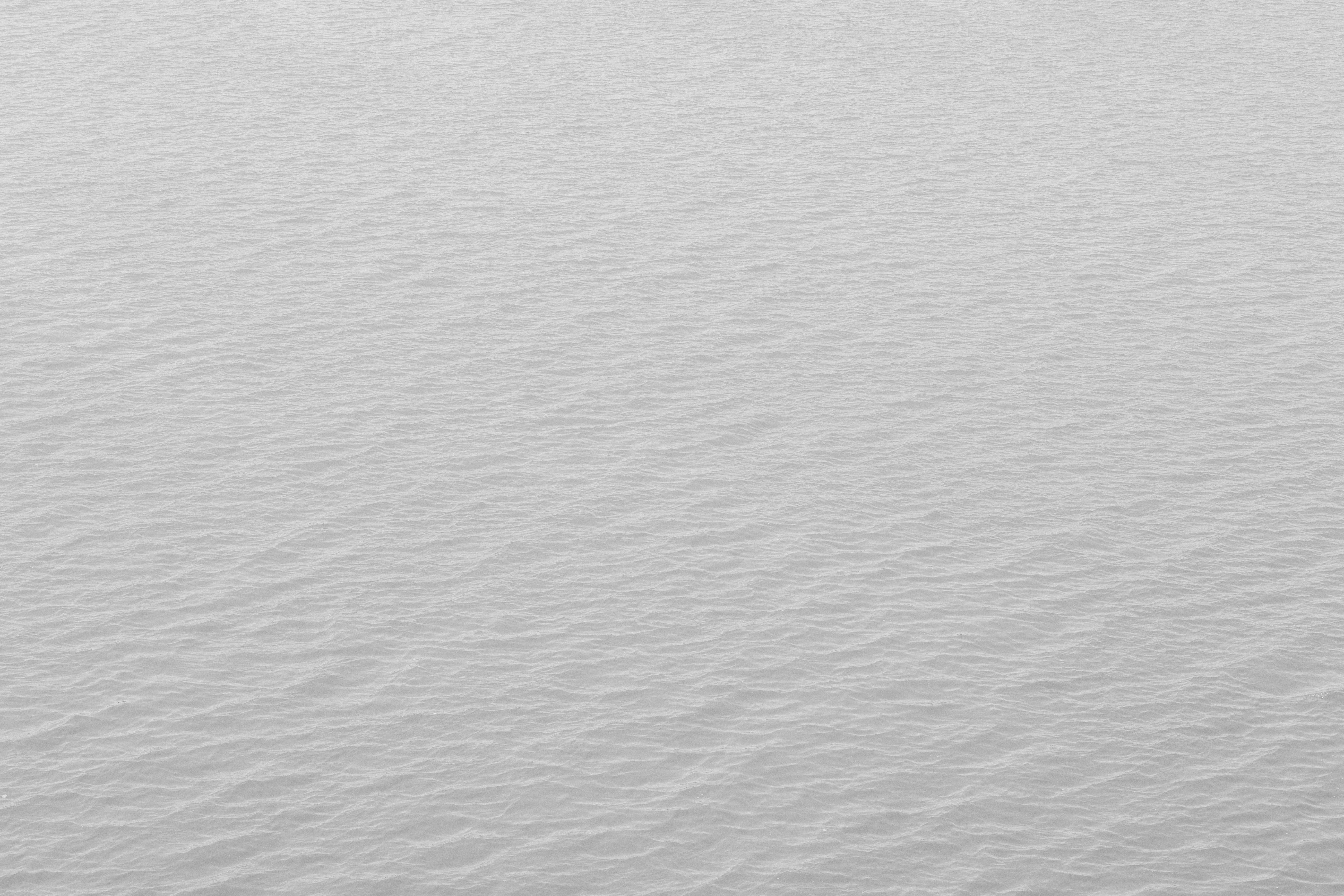 Monochrome Ripples: A Quiet Expanse of Water