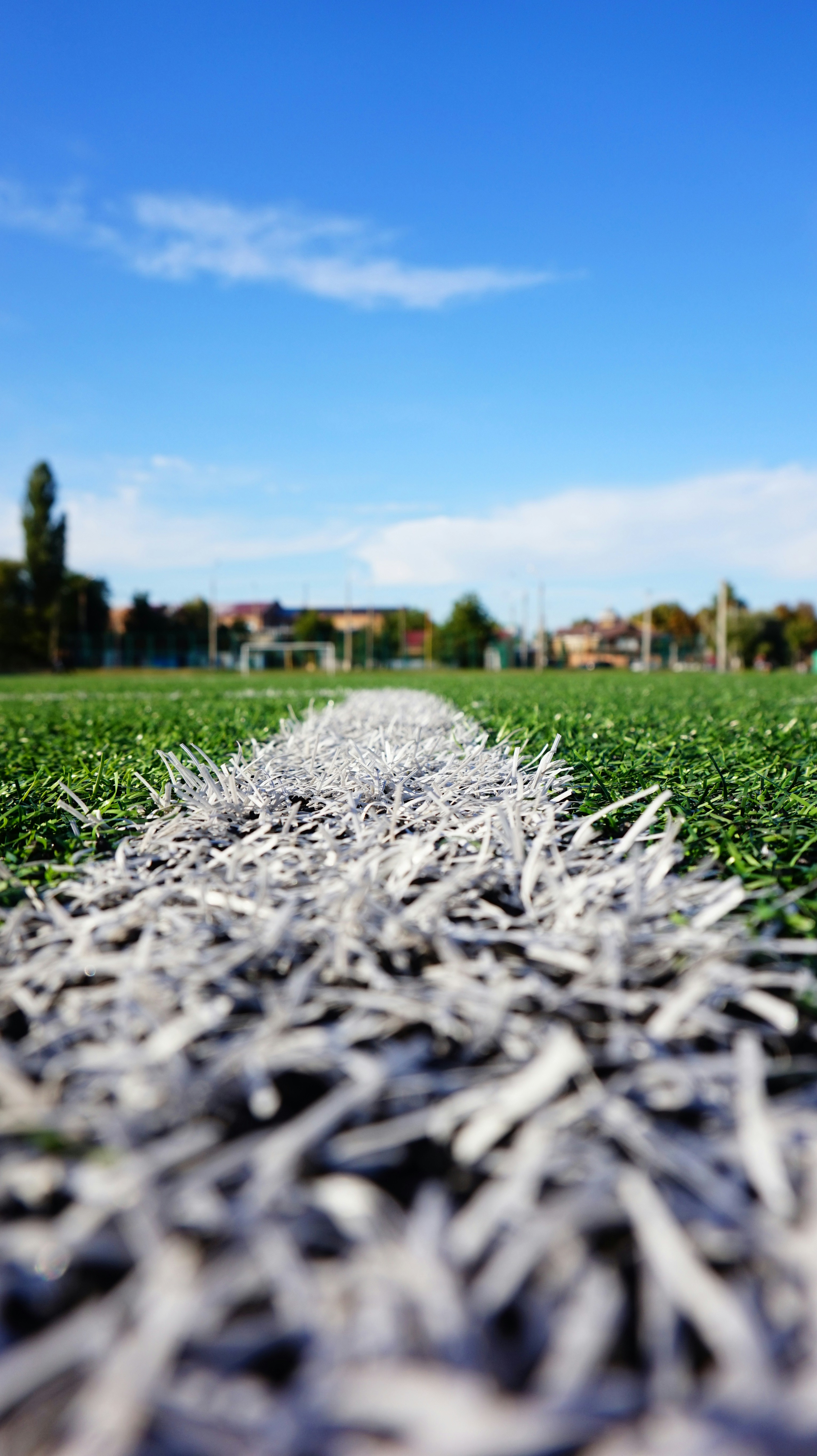 White-flecked football line cutting through a sunlit turf toward a distant urban horizon