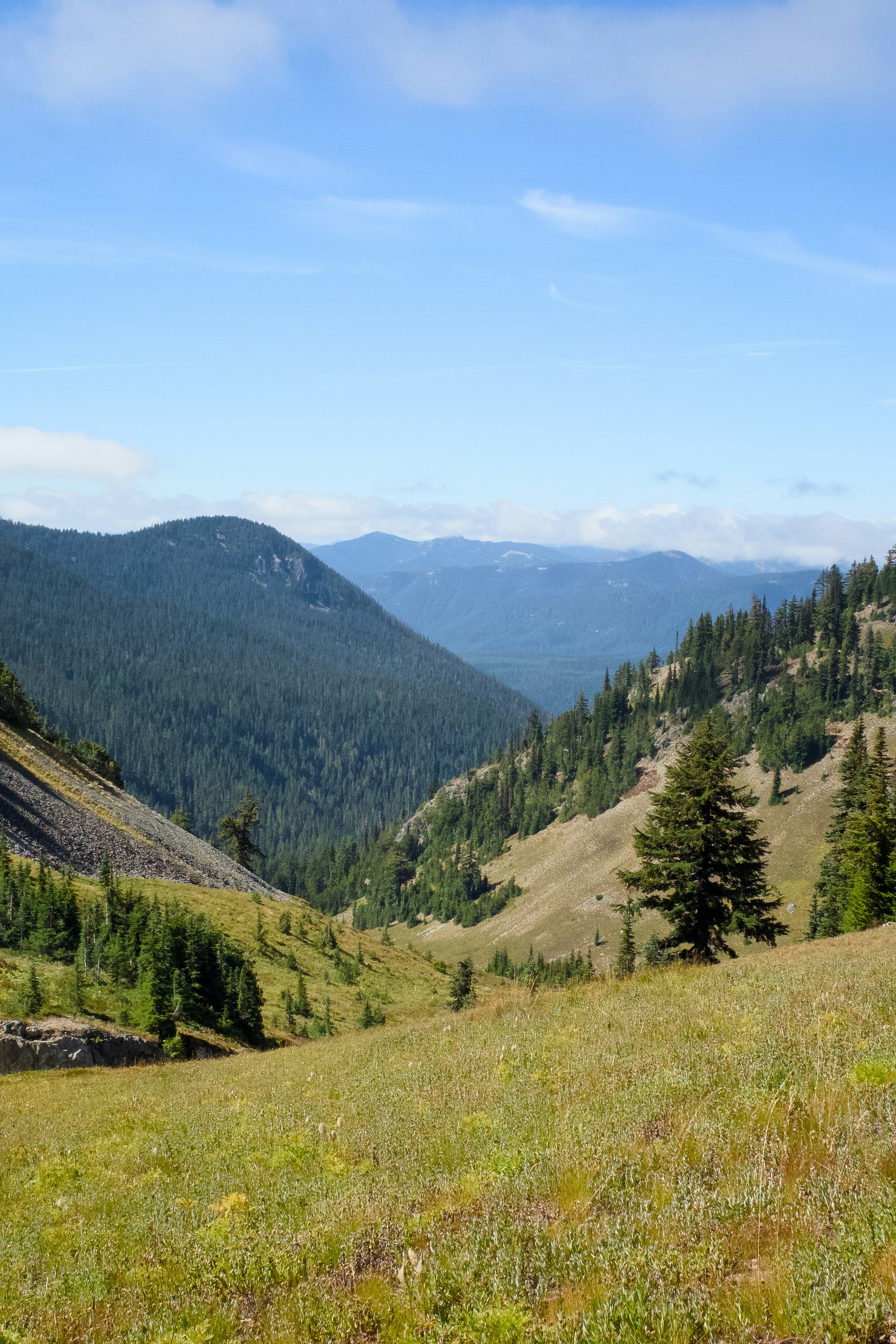 Sunlit Alpine Basin: A Quiet Valley Between Ridges