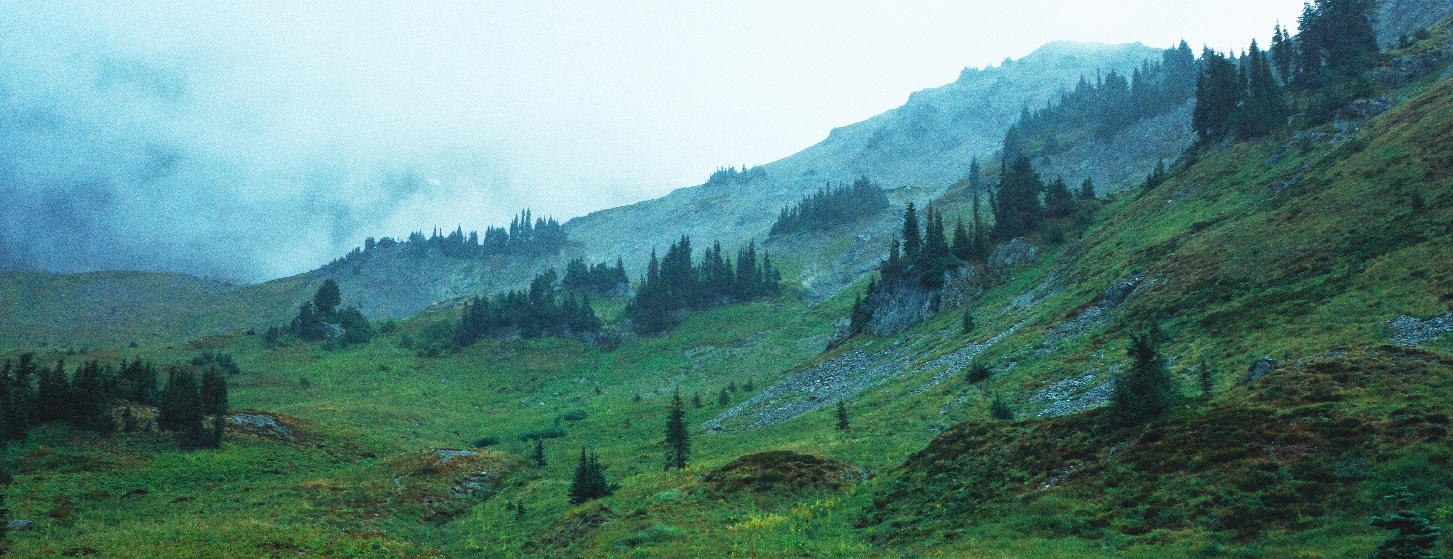Mist Over the Alpine Meadow