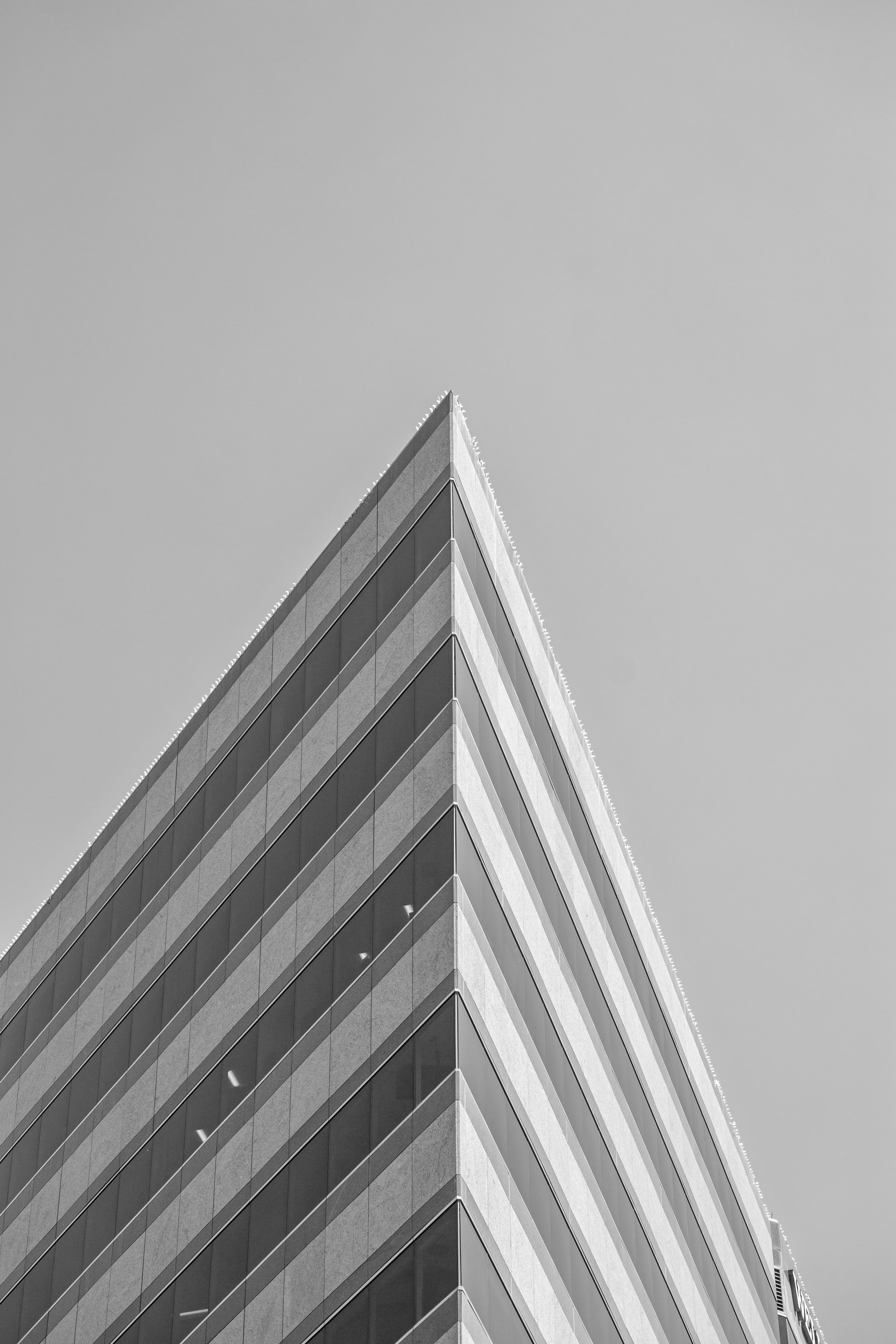 Triangular Peak: A Monochrome Facade Reaching the Sky