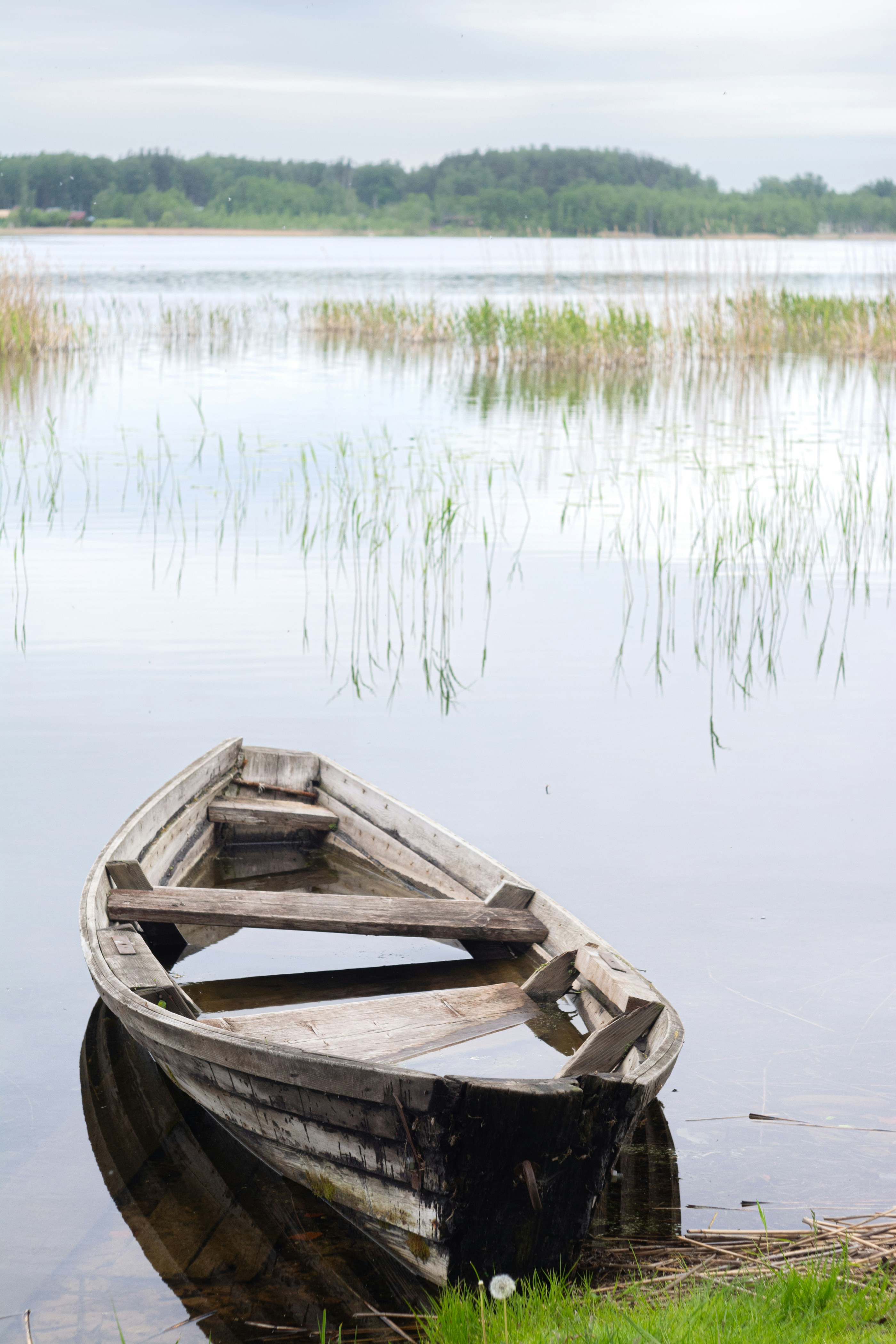 Forgotten Rowboat in Quiet Marsh Seen from Shore