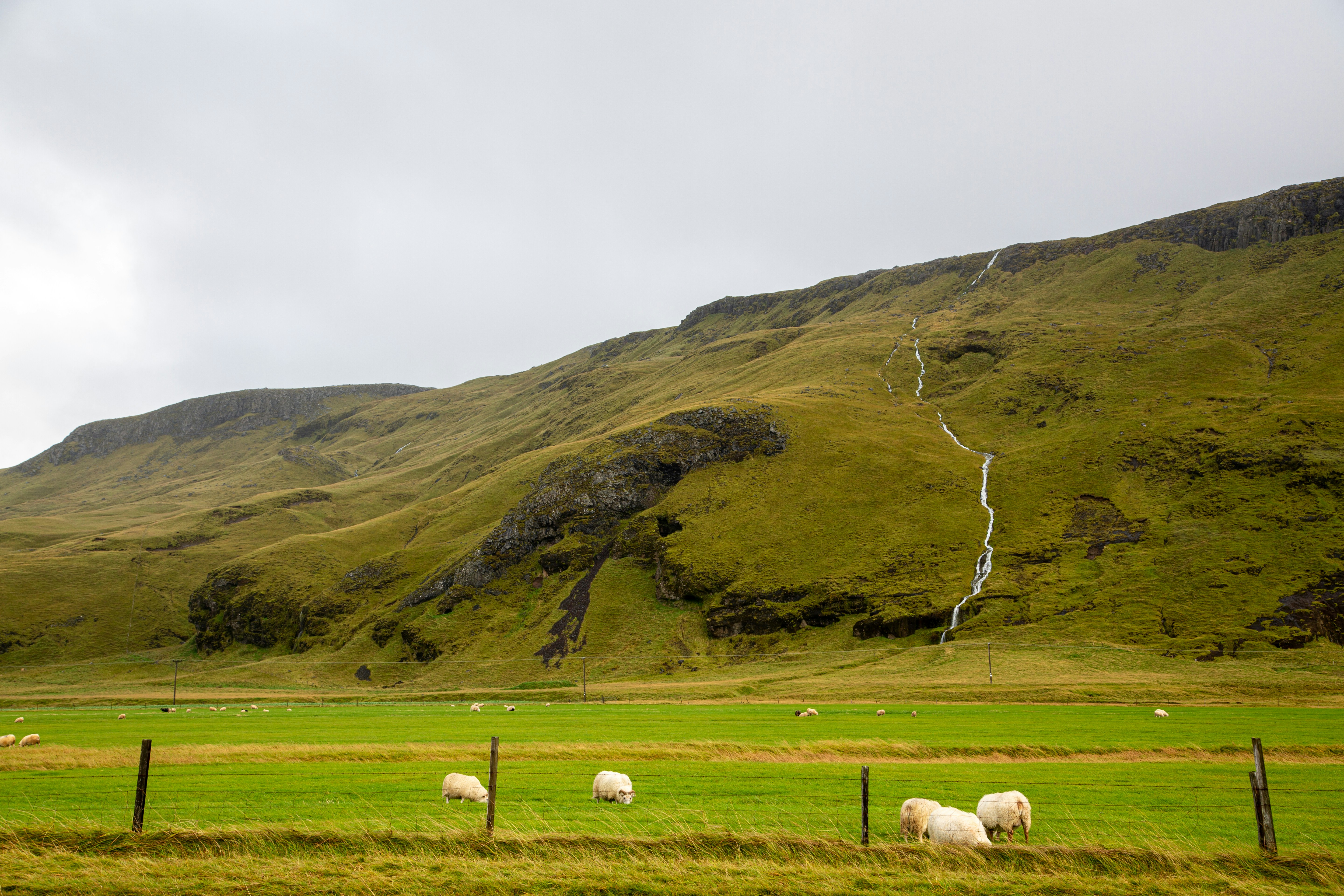 Pasture Lines and Waterfall Echoes in a Rolling Highlands Basin
