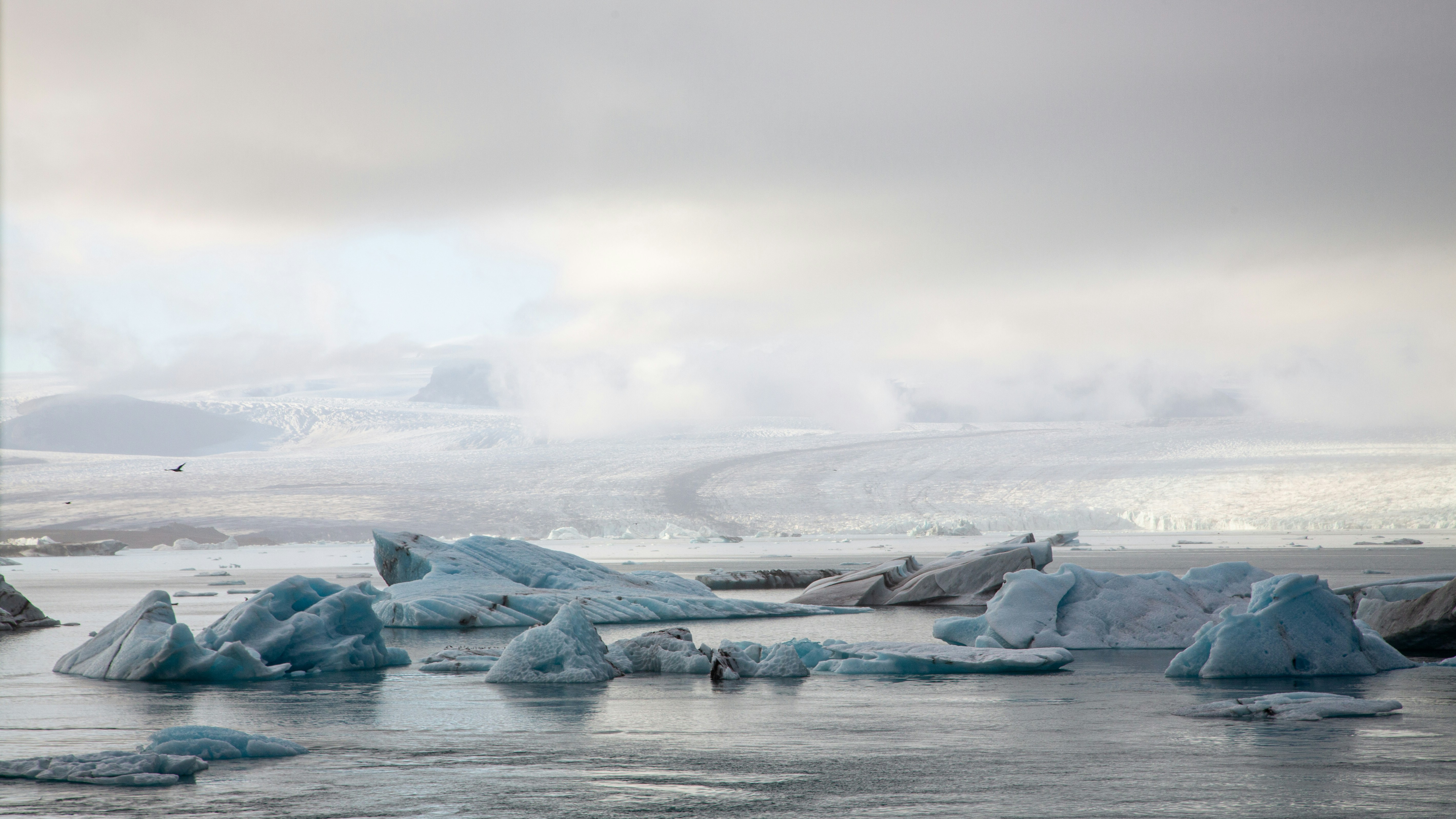 Floating Ice Giants: A Quiet Sea of Glaciers at Dusk