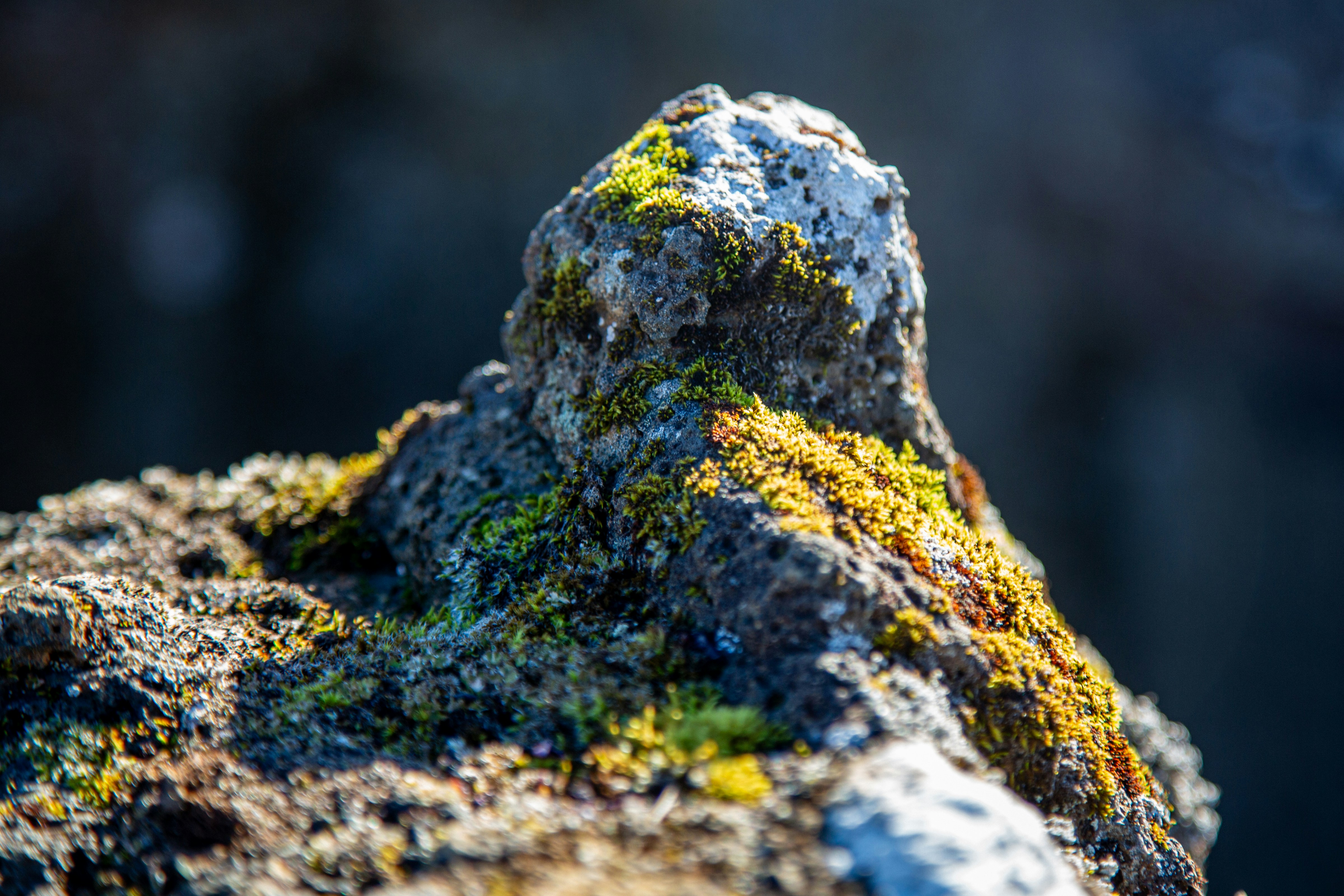 Moss-Cloaked Outcrop: A Quiet Climb of Texture and Light