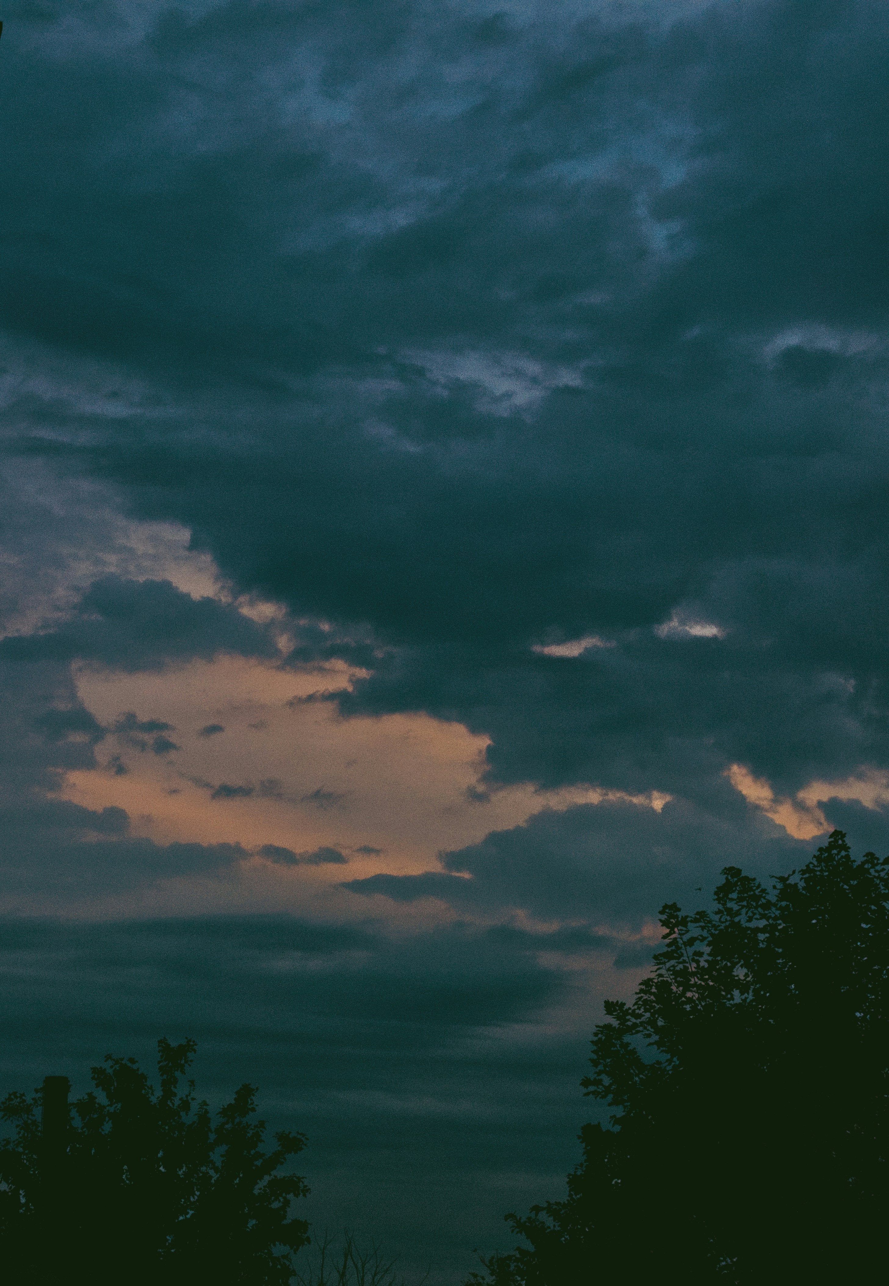 Twilight Overhang: Clouds Framing a Silhouetted Tree Line
