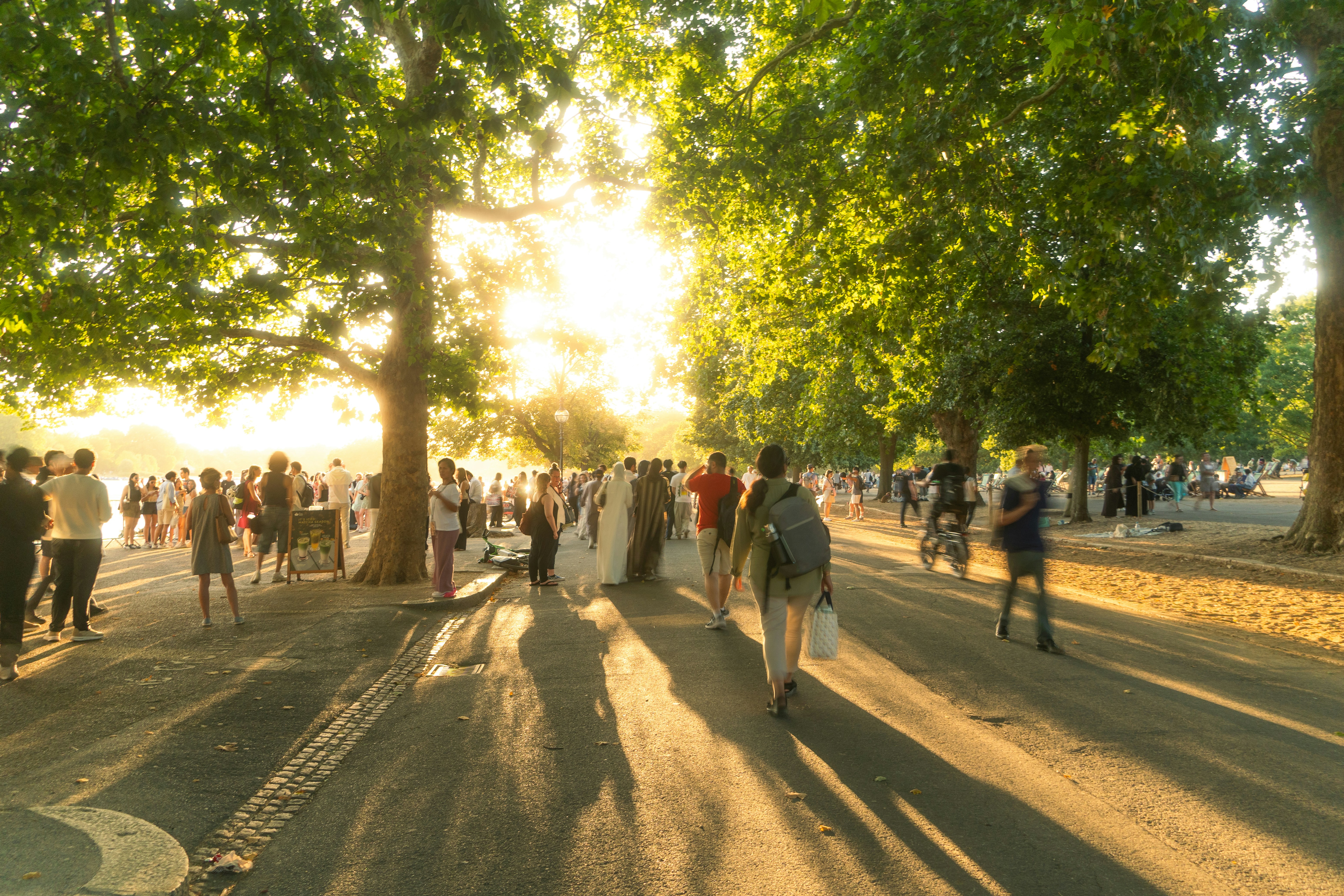 Golden Hour Parade: People Walk Beneath Sunlit Canopy