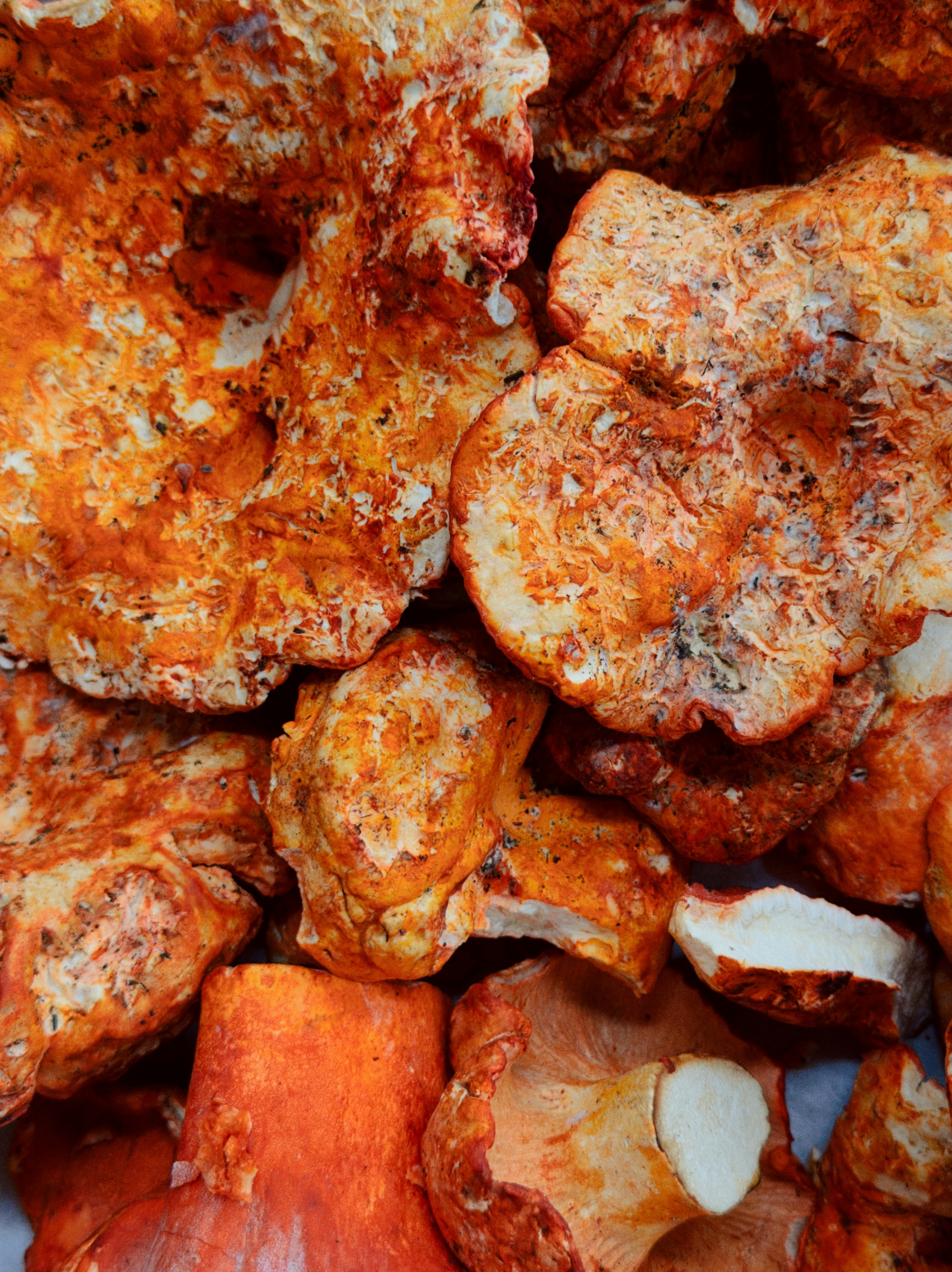 Orange Rush: Close-Up of Crusted Rocks in Warm Hues
