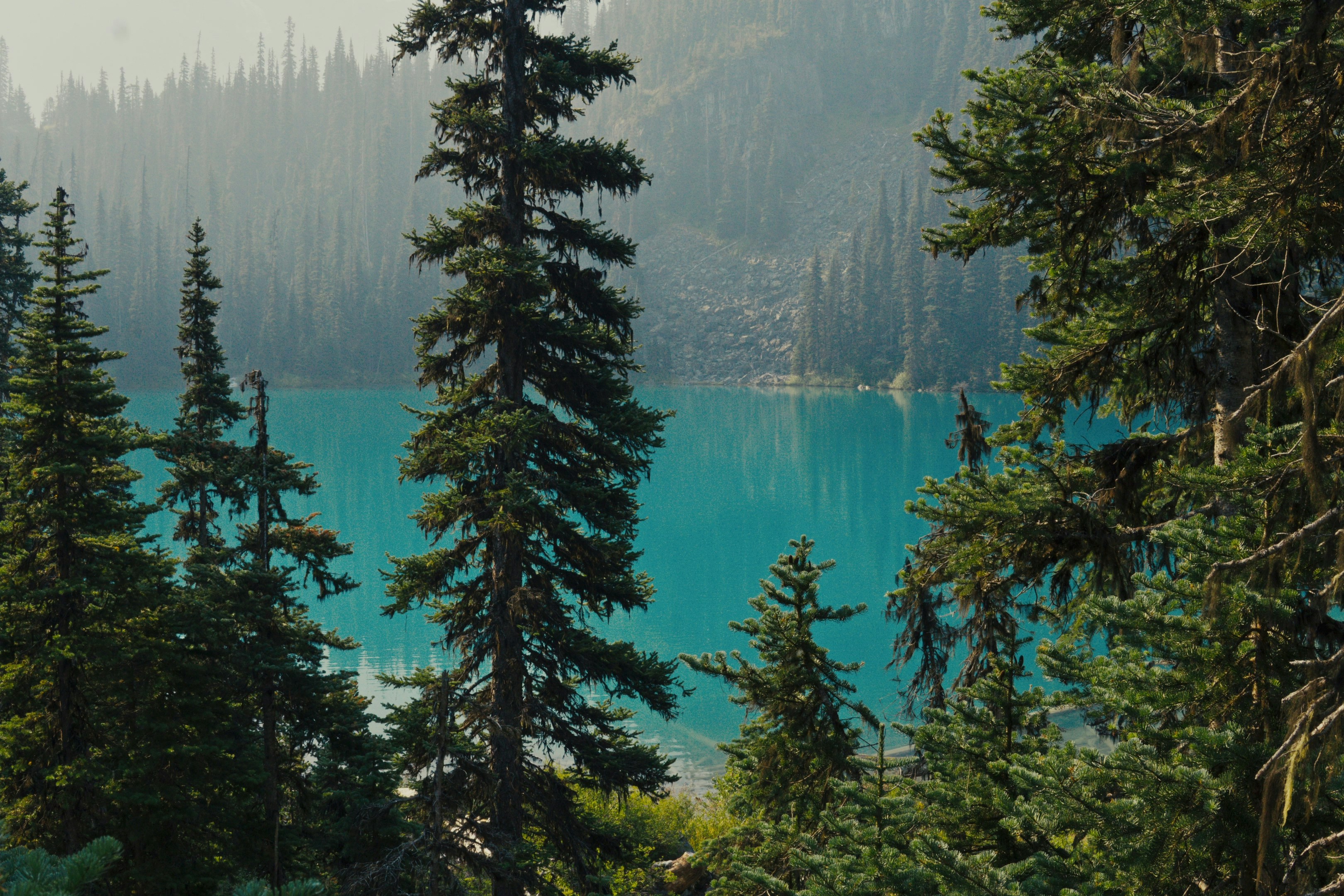 Turquoise Serene: A Forest Framed Lake Scene