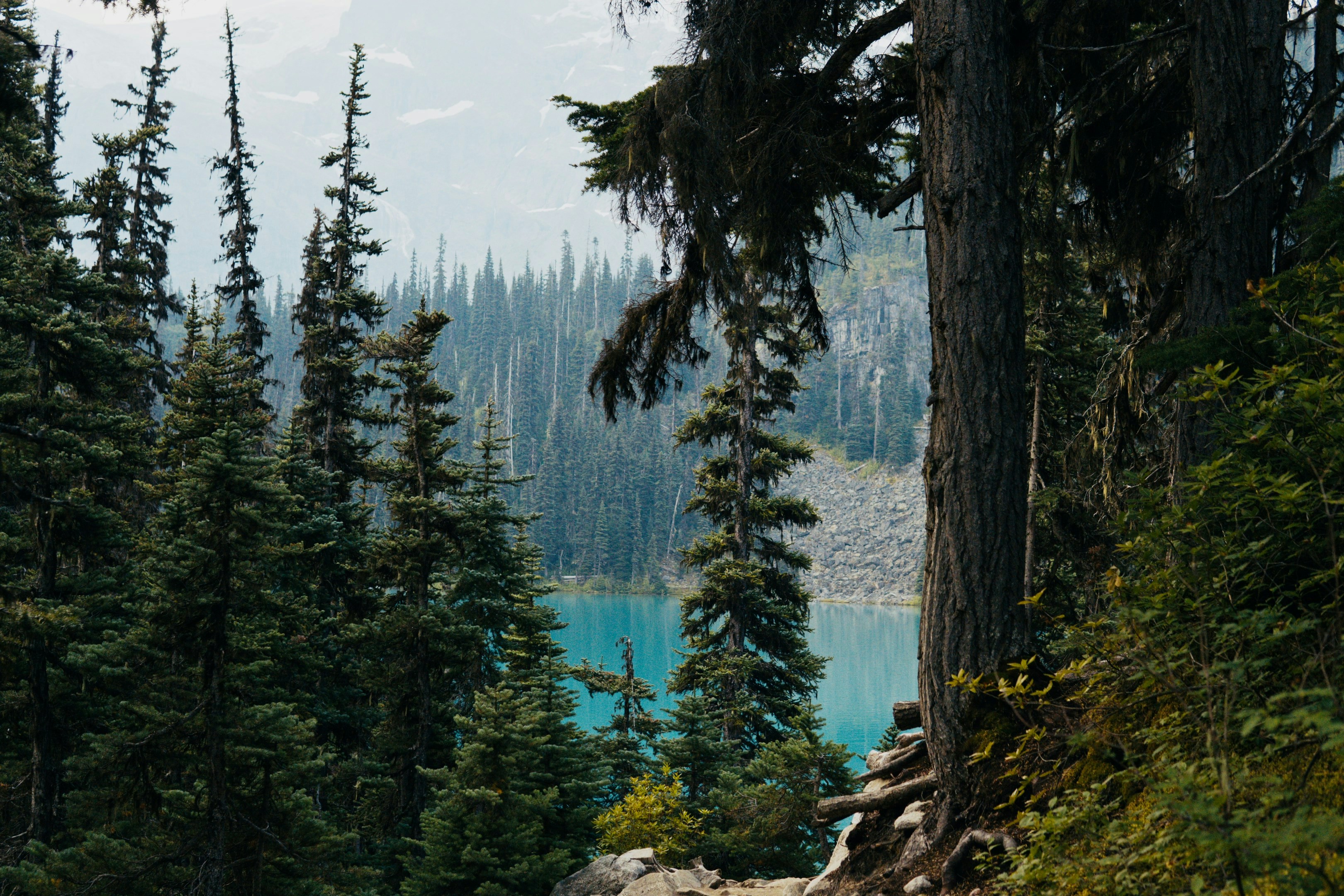Emerald Basin Through silent Pines