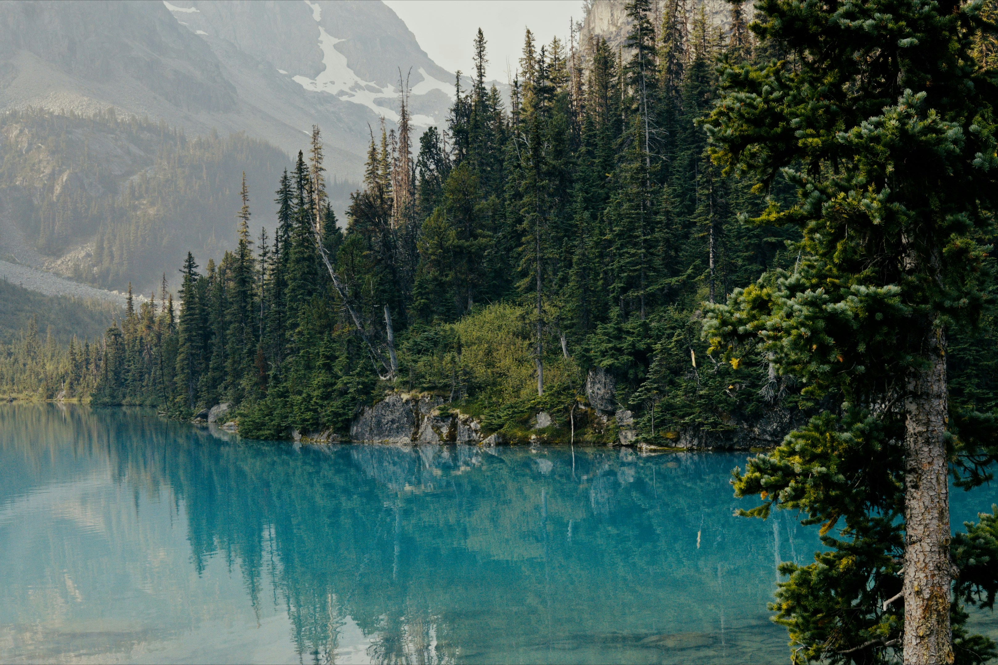 Turquoise Mirror: Pines, Lake, and Mountain Veil