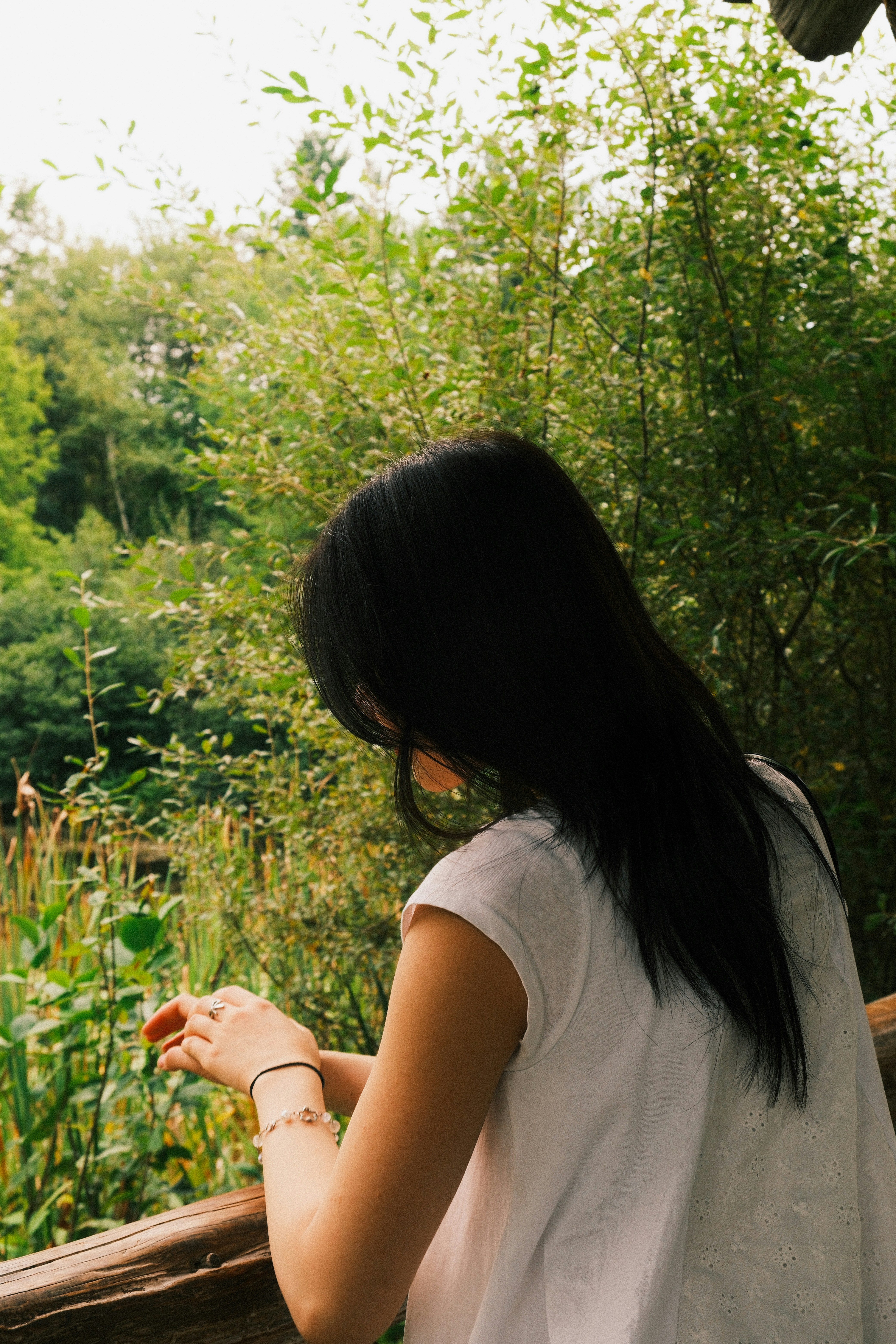  Whispered Greens: A Quiet Moment on the Forest Deck 