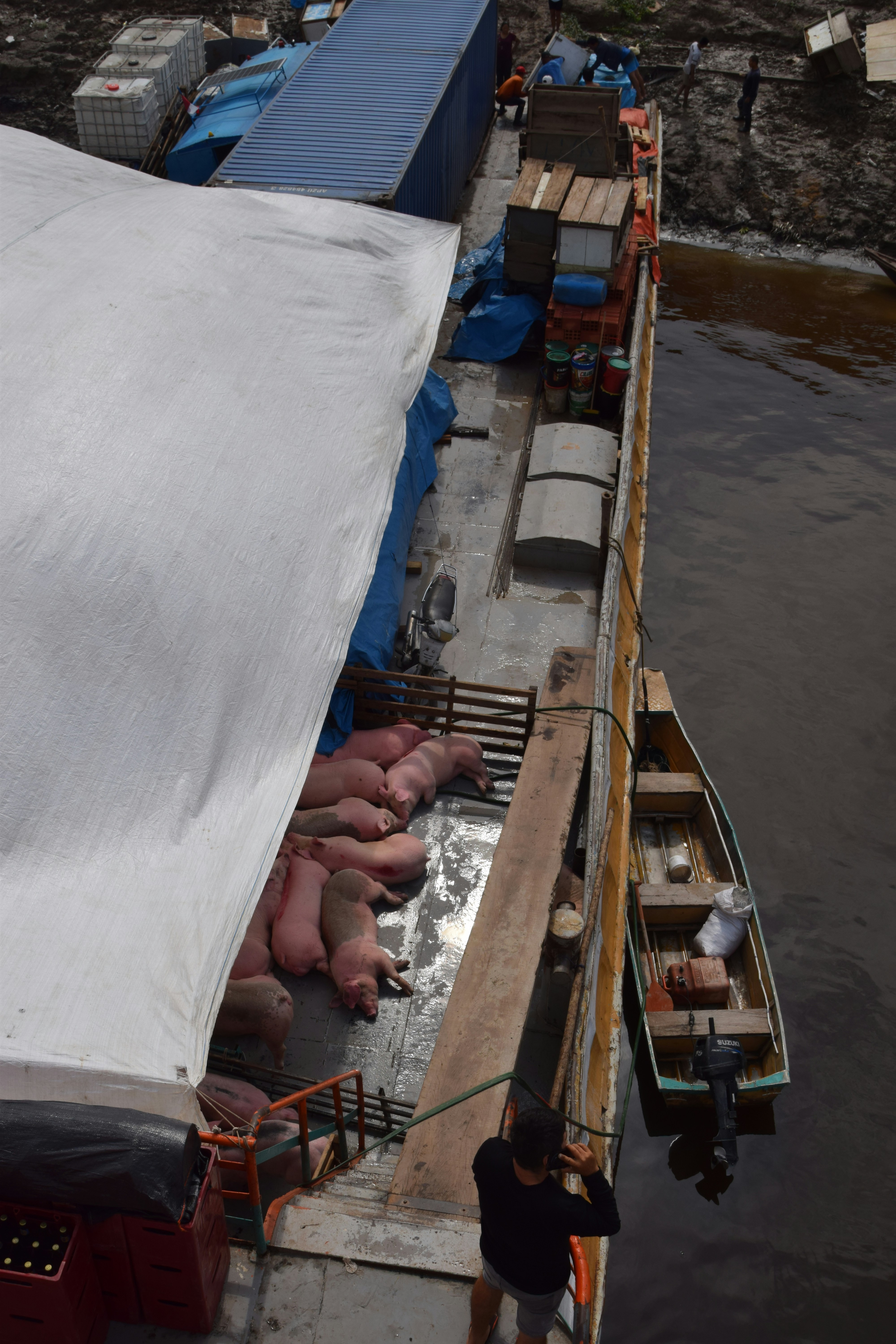 Pink Pig Pen and Dockside Barge: Aerial View of a Busy Waterfront