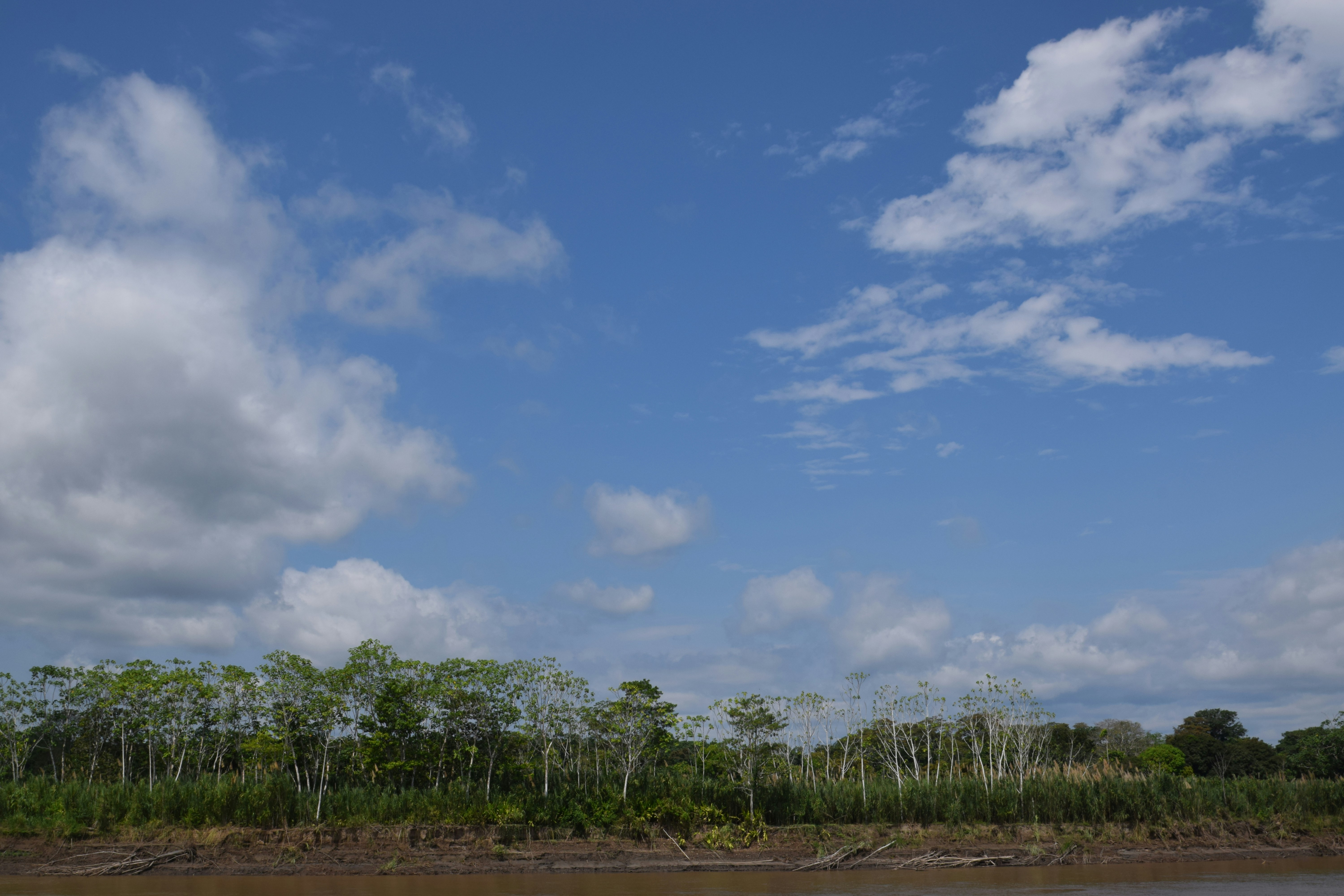 Low-Angle Riverbank Horizon Under a Wide Sky