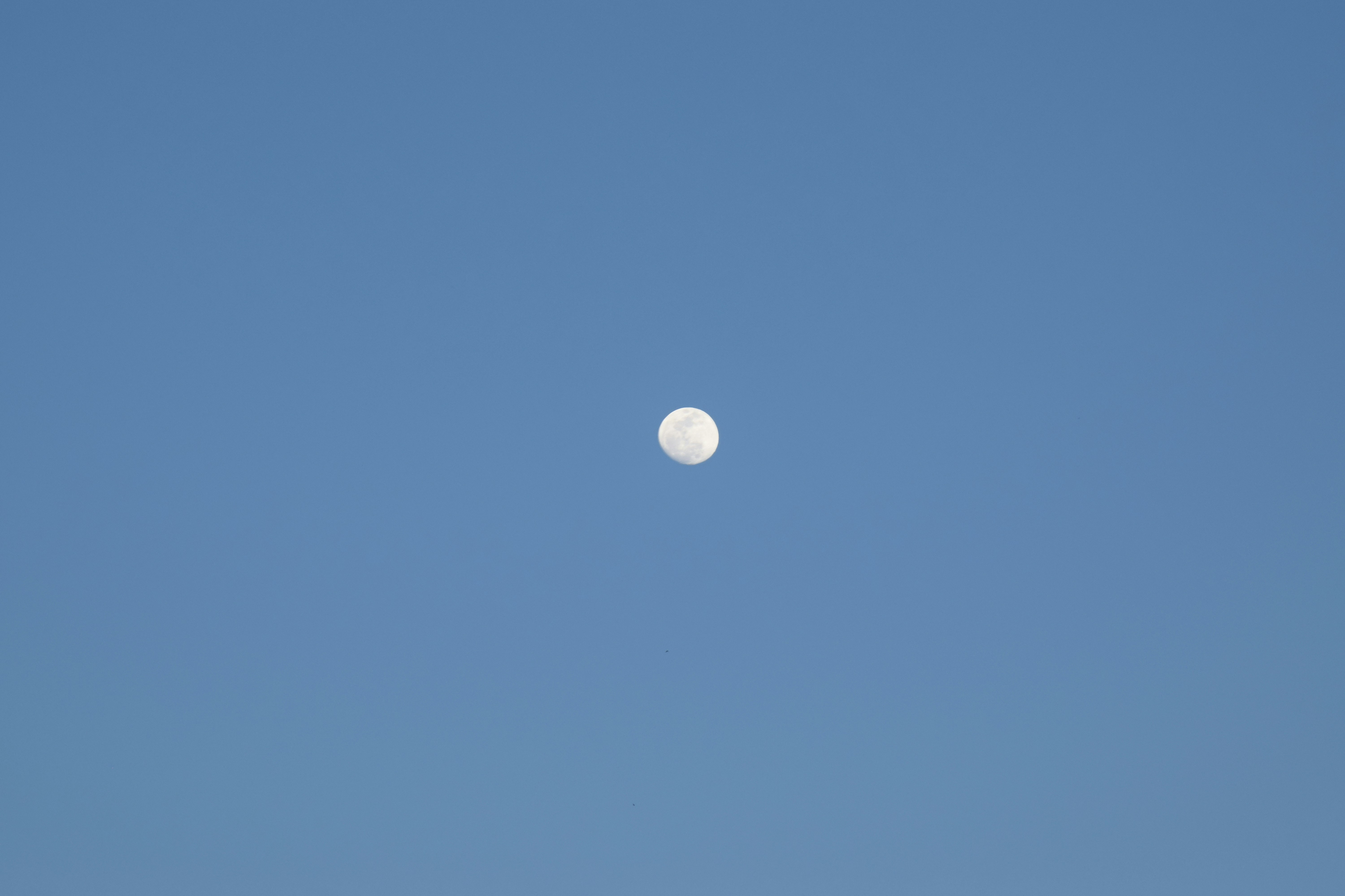 Lone Moon Over Quiet Sky