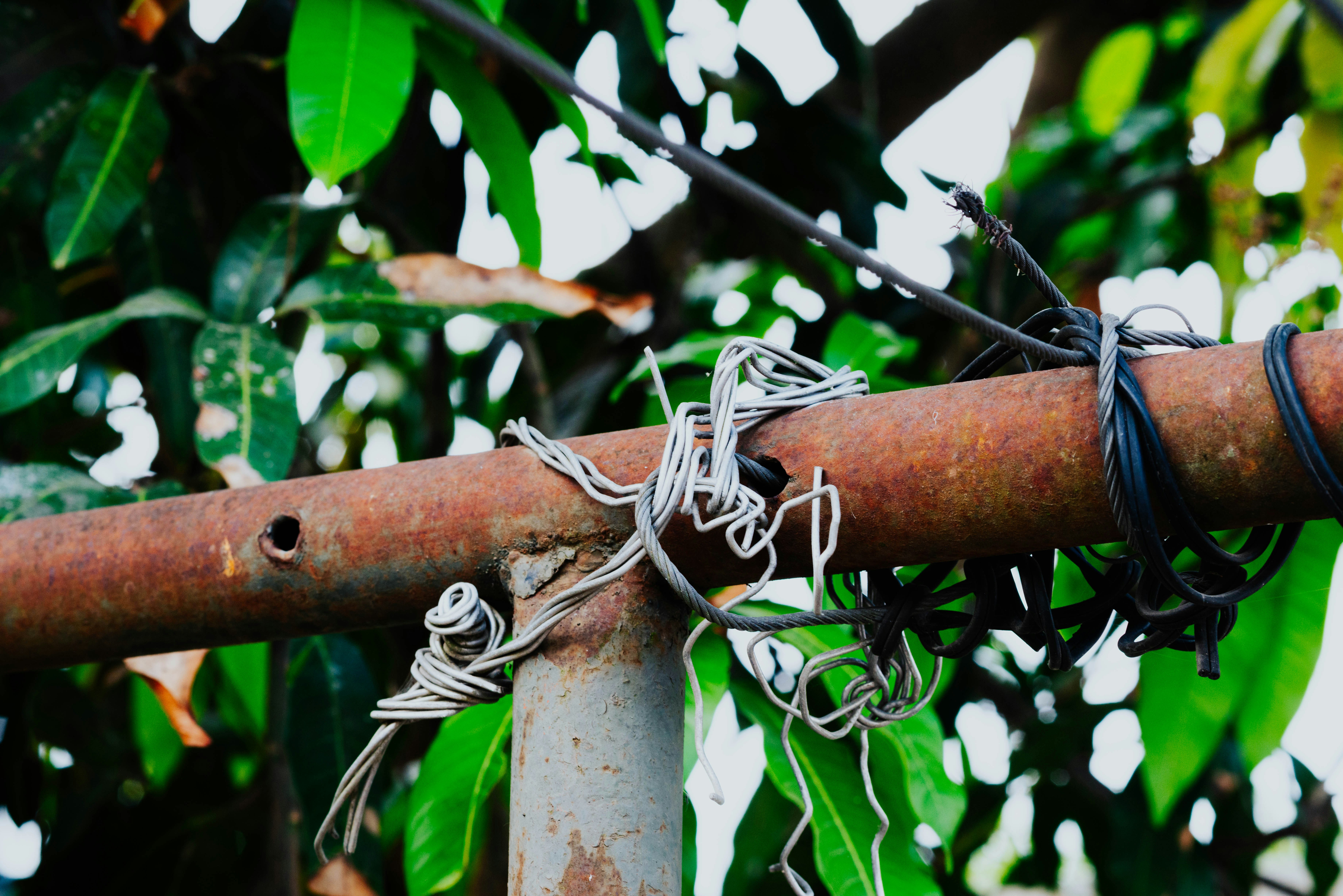 Rusted Pipe Entanglement: A Tangle of Wires and Weathered Metal