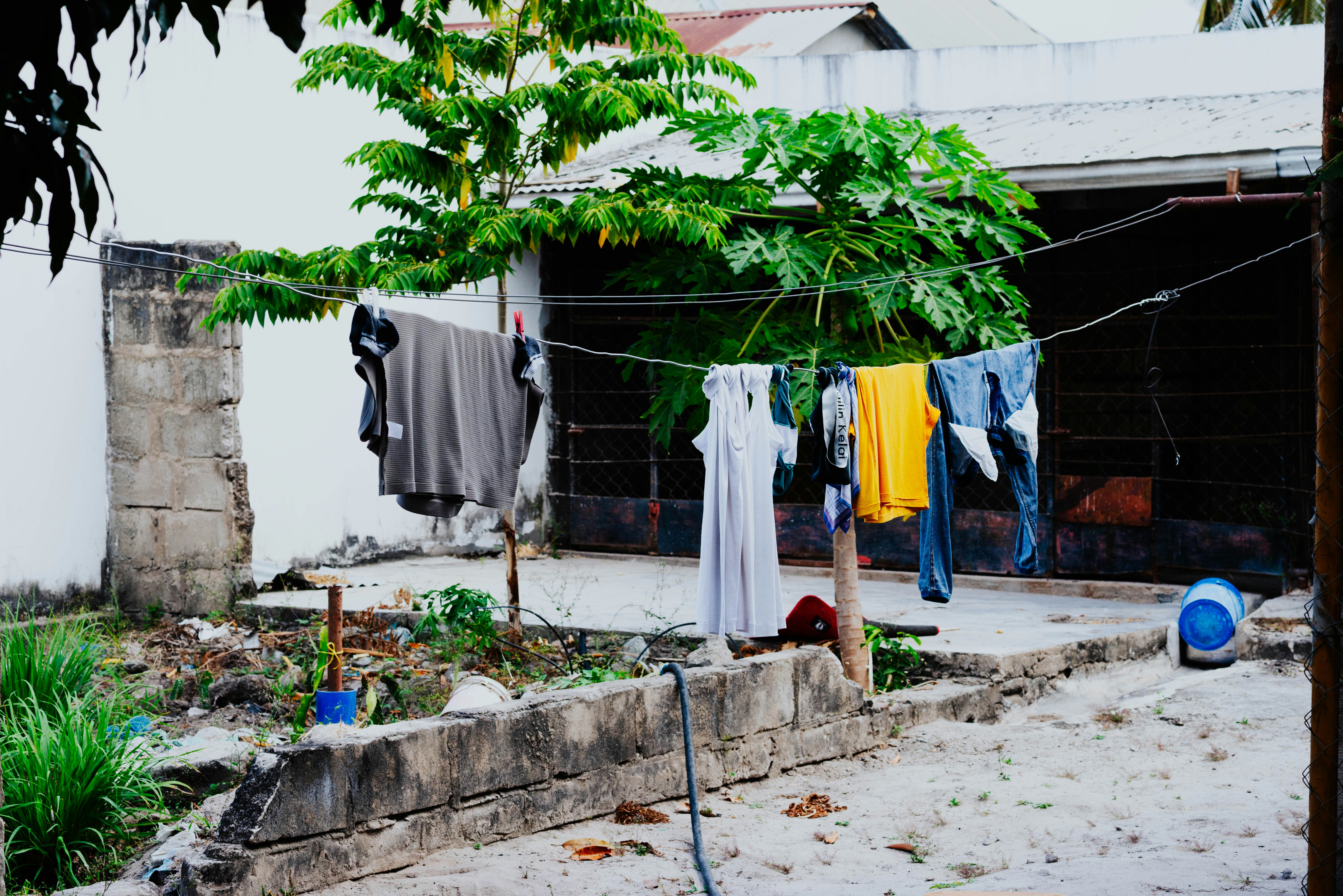 Laundry on the Line: A Quiet Yard in Sunlit Disorder