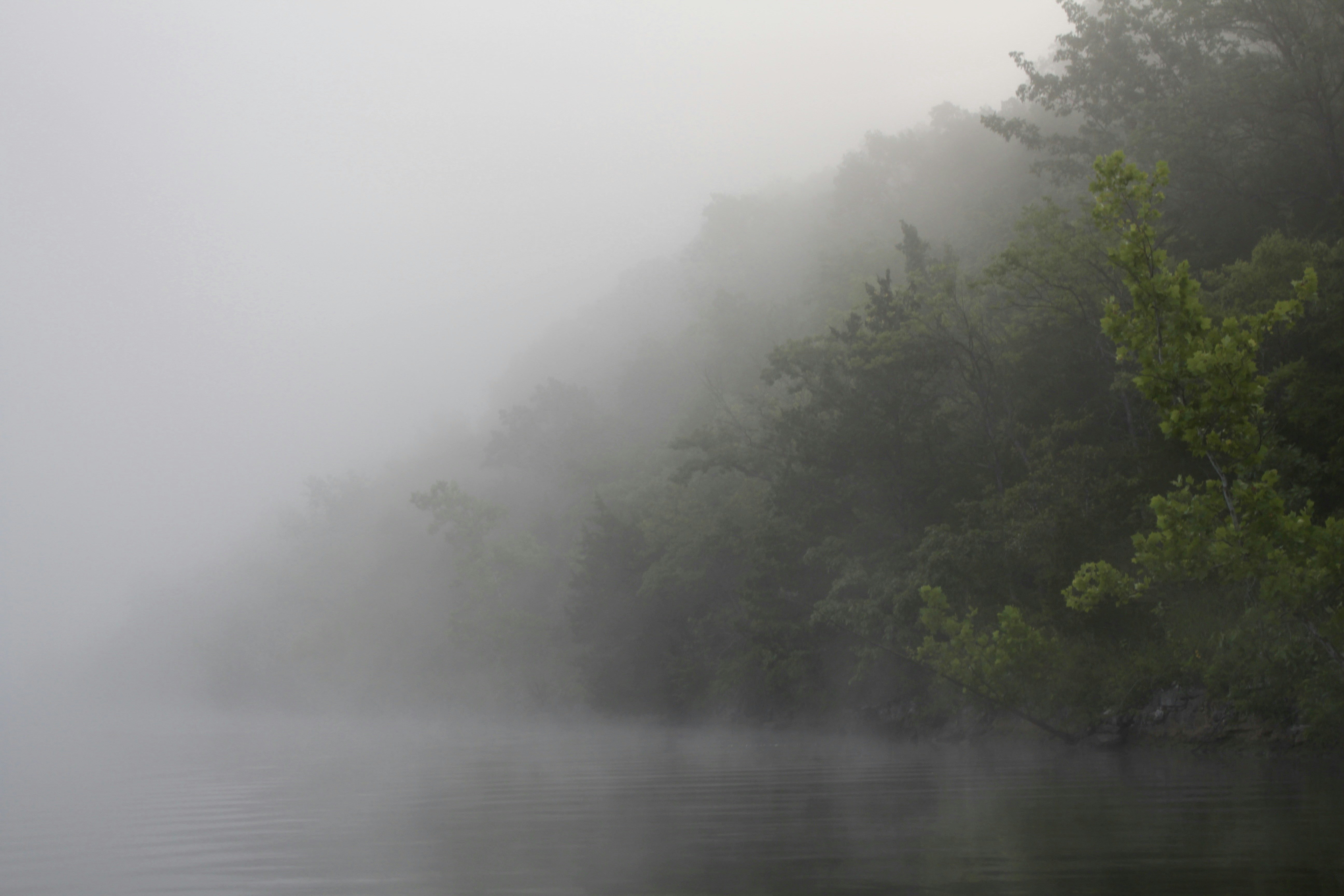 Fog-Cloaked shoreline dissolving into still water