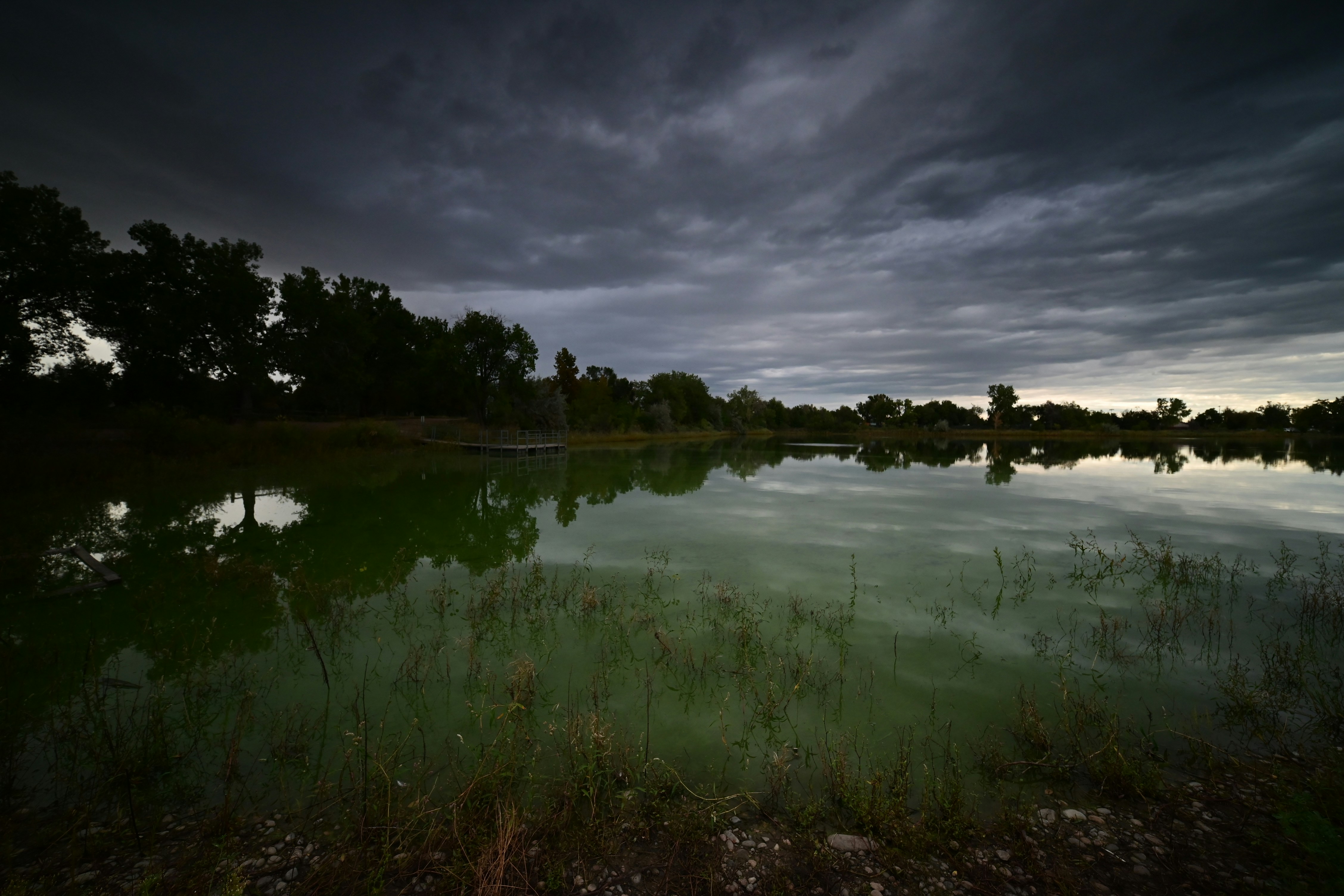 Silenced Horizon: Evening Creek Reflections