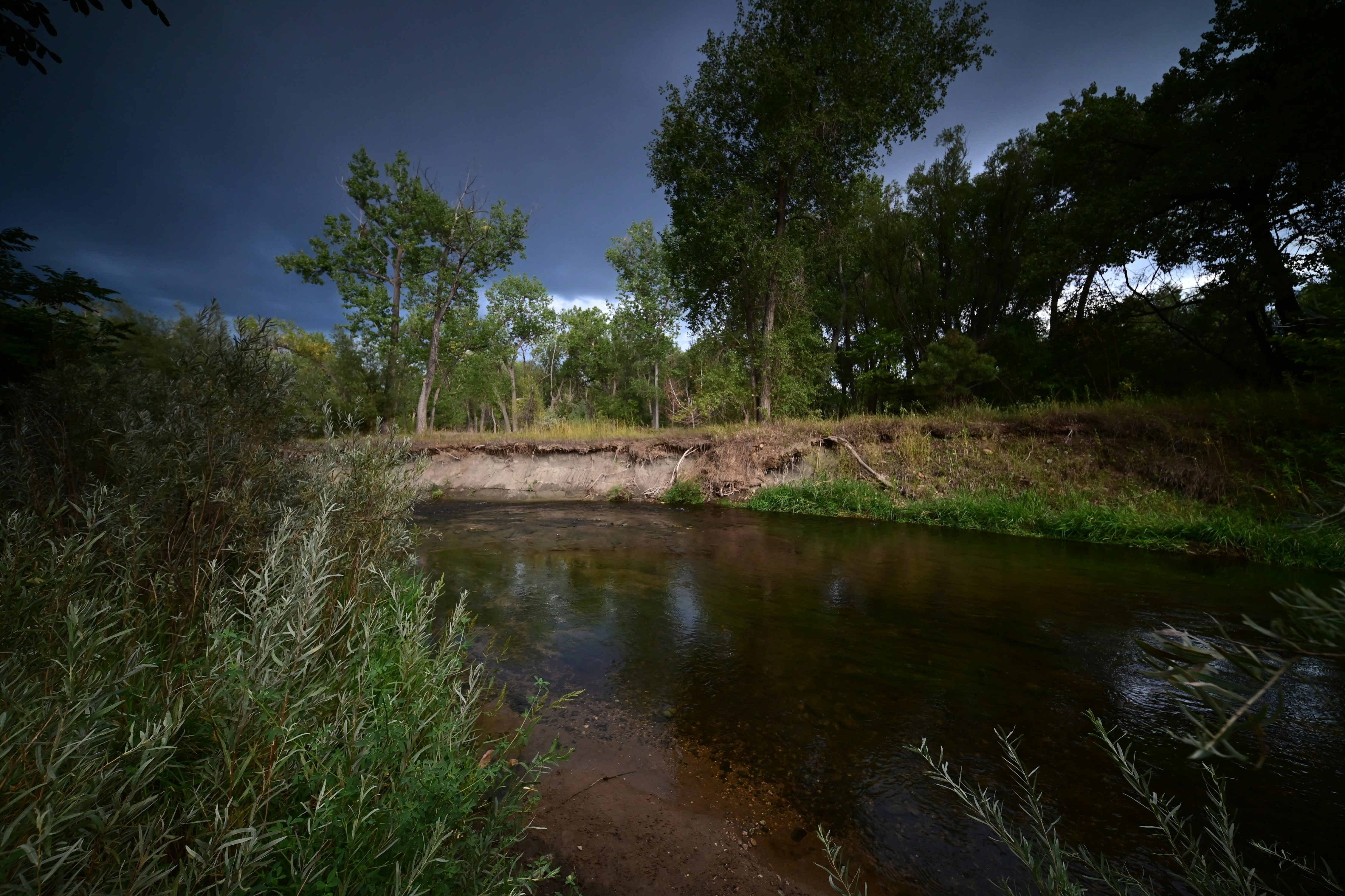 Riverbank Silence: Dusk Over the Meadow and Water