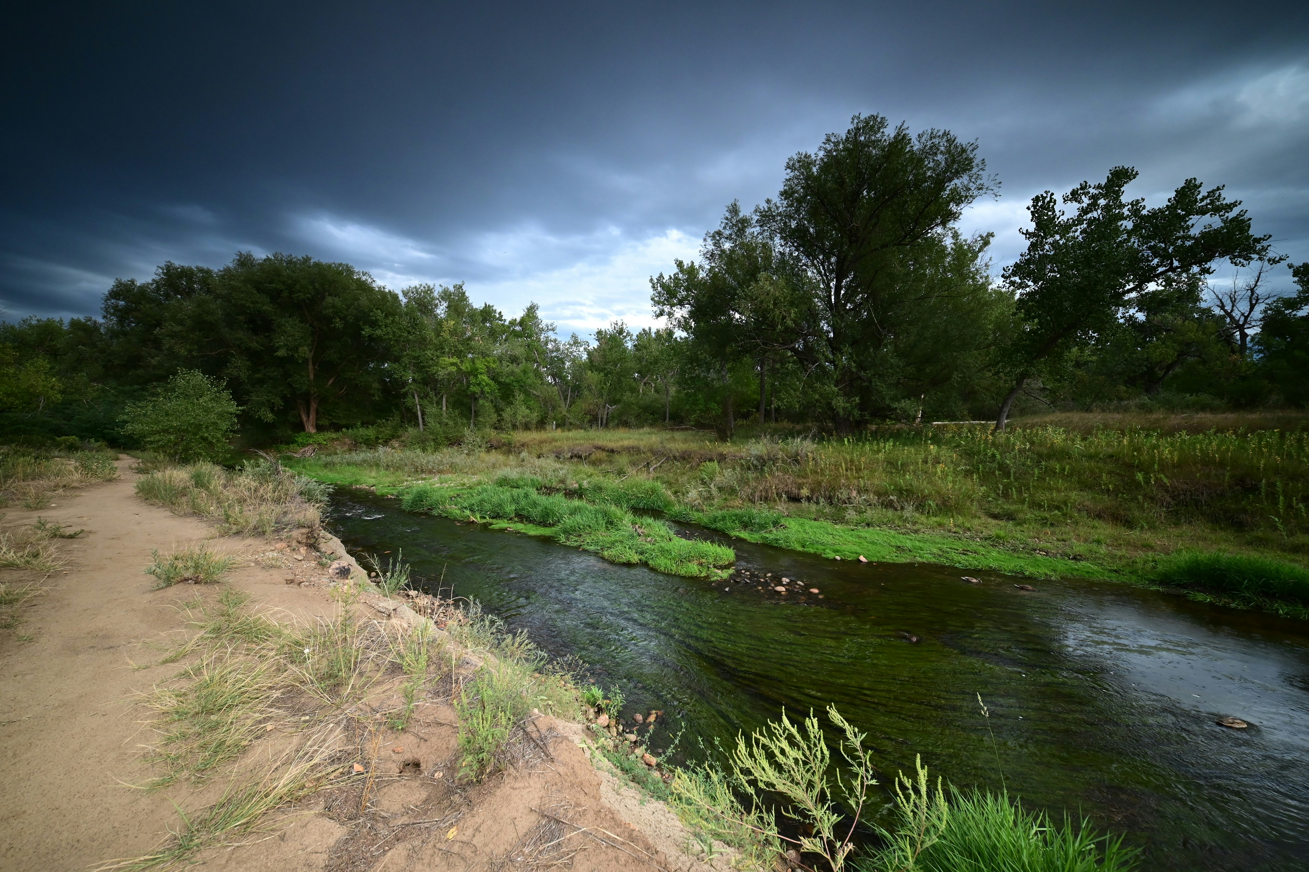 Riverbend at Dusk: A Quiet Stream Framed by Verdant Banks